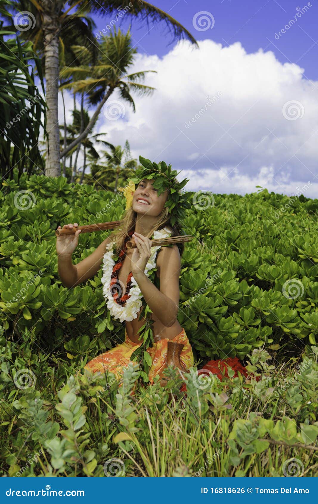 Hawaiian hula stock photo. Image of flowers, green, plants - 16818626