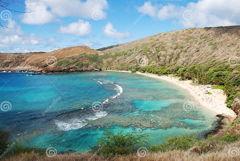 Hawaiian Inlet Beach stock image. Image of island, reef - 20249593