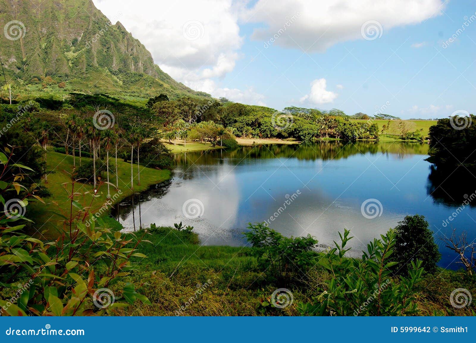 Hawaiian lake stock photo. Image of hawaii, travel, nature - 5999642