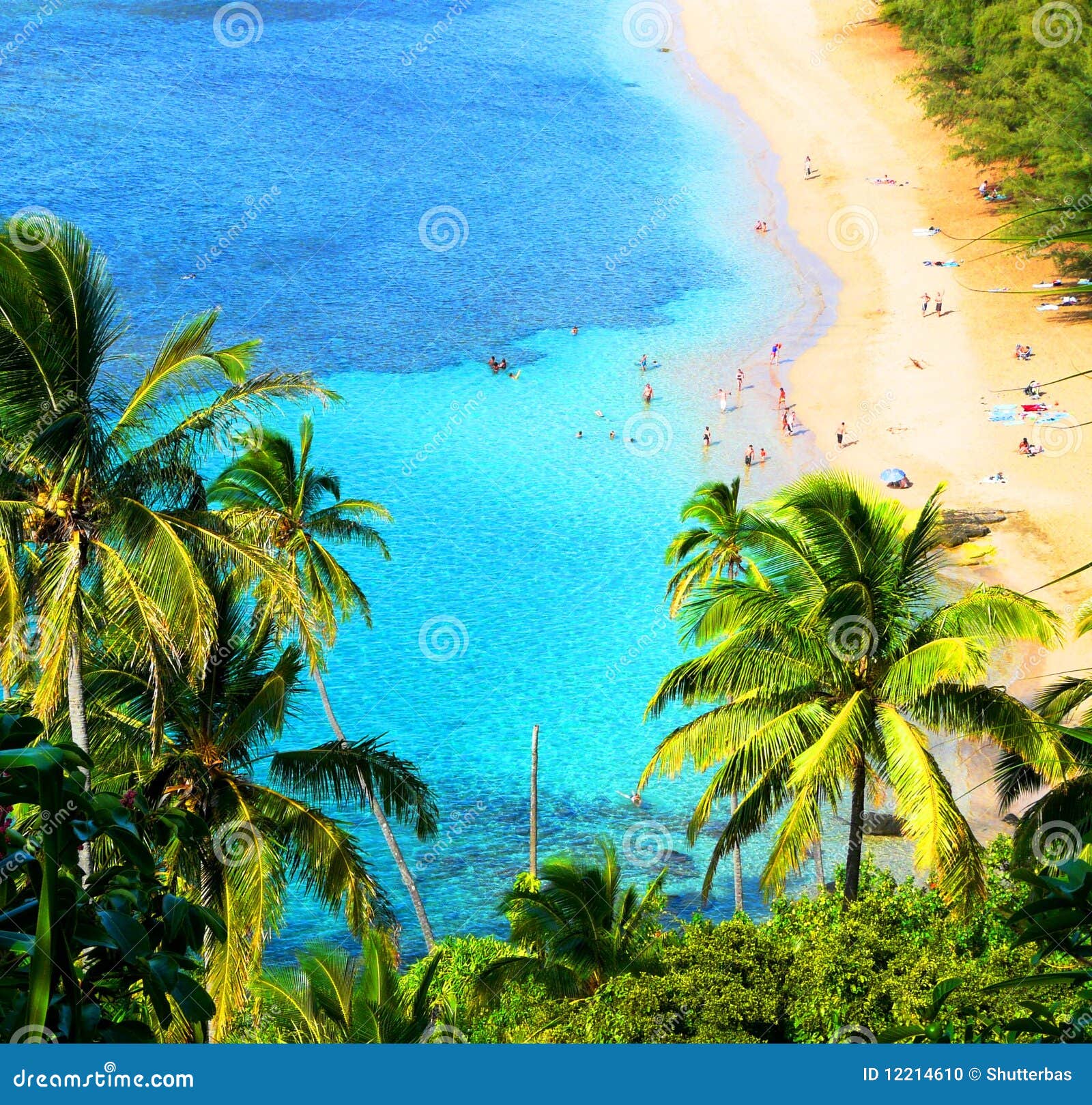 Hawaiian landscape stock photo. Image of landscape, islands - 12214610
