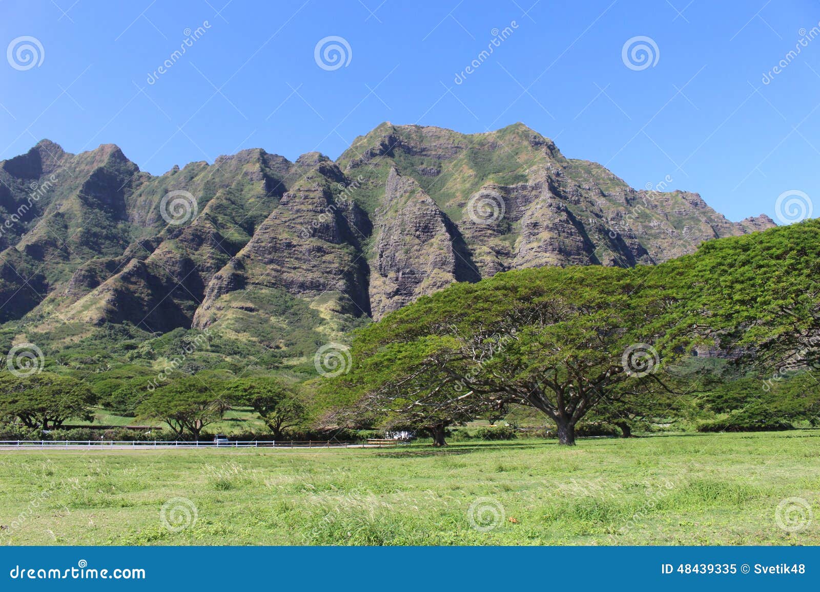 Hawaiian Landscape in Sunny Day Stock Image - Image of grass, beautiful ...