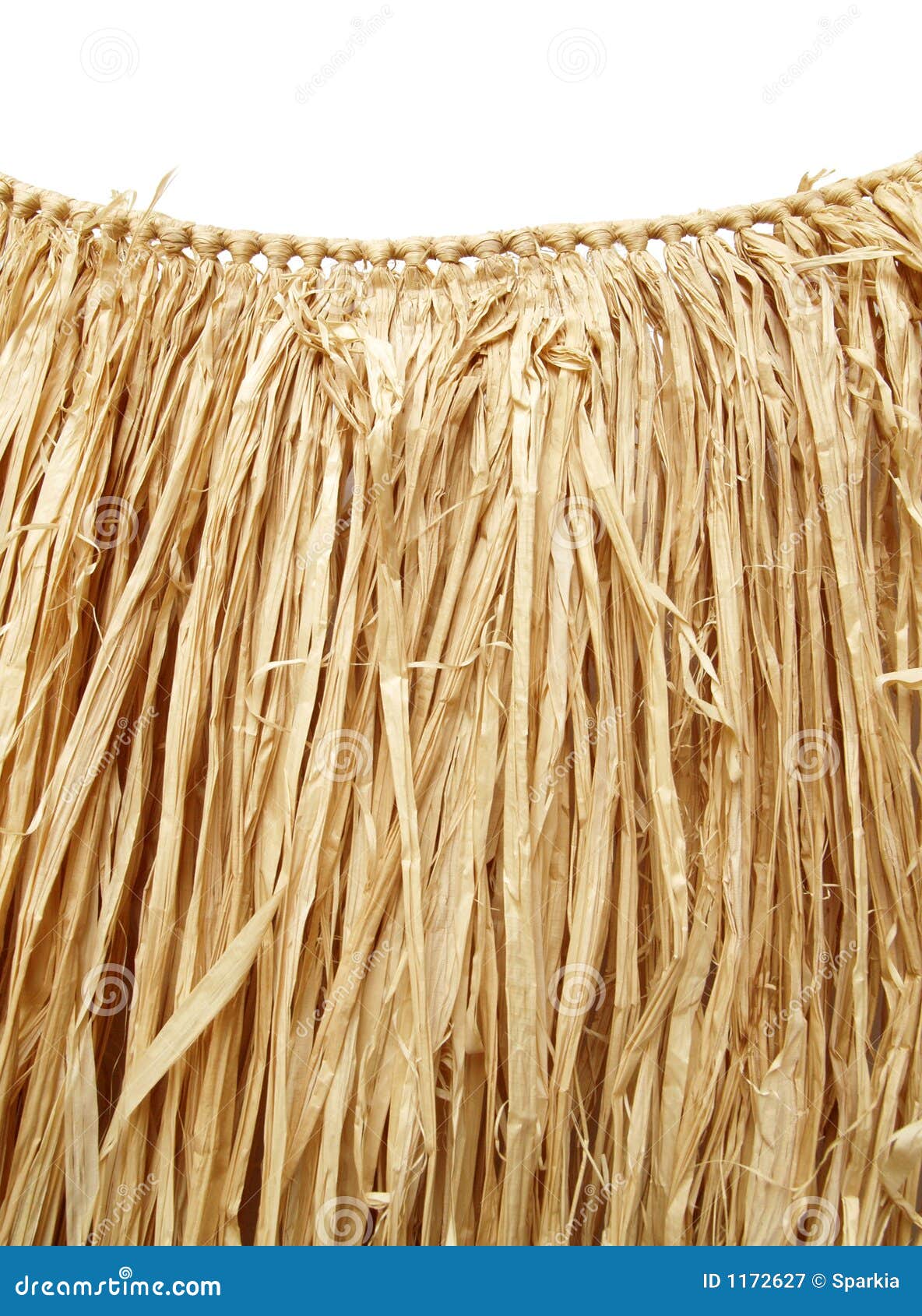 Hawaiian Luau Grass Hula Skirt Stock Image Image Of Party