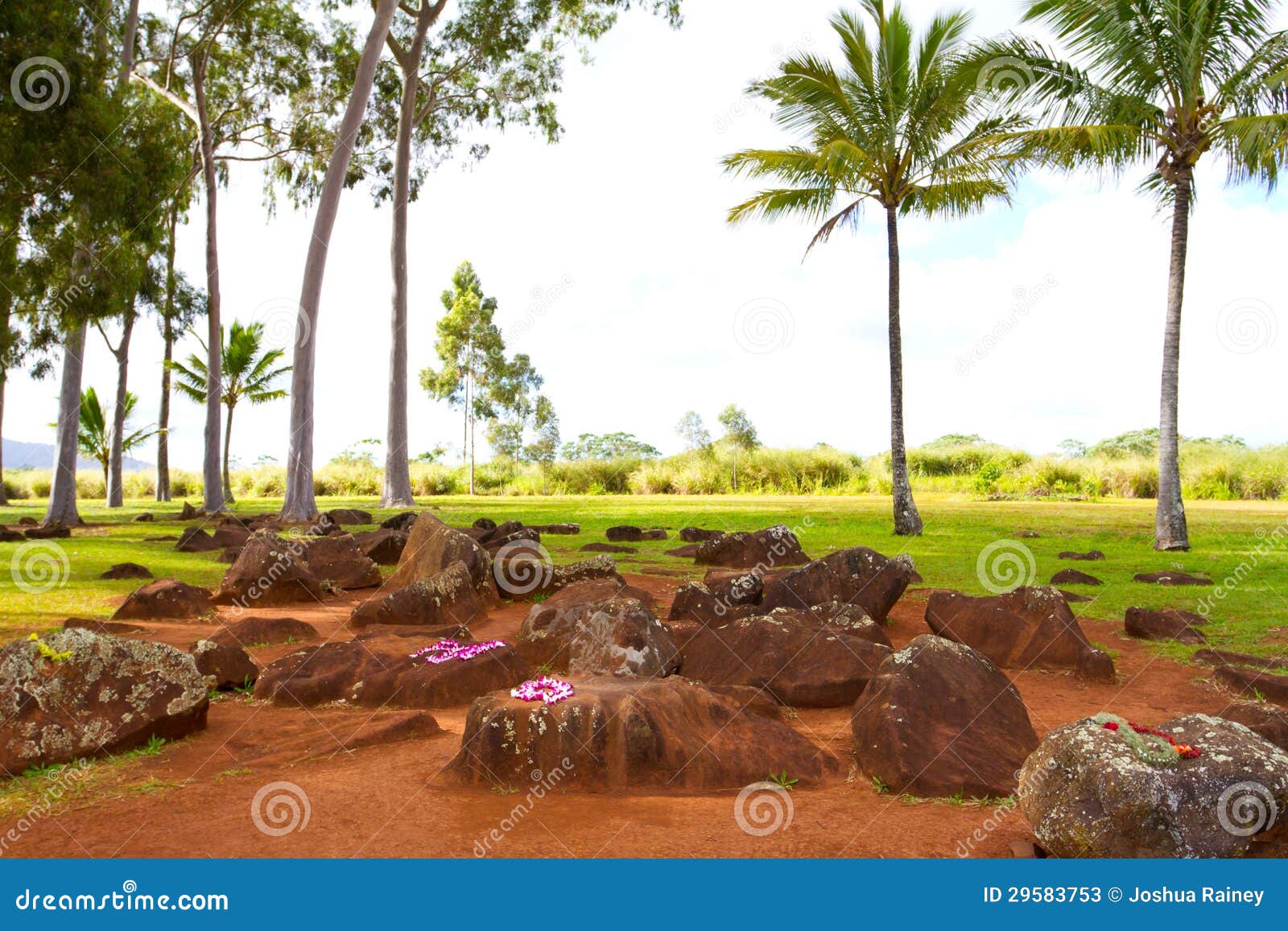 Hawaiian Native Birthing Stones Stock Image - Image of historic, parks ...