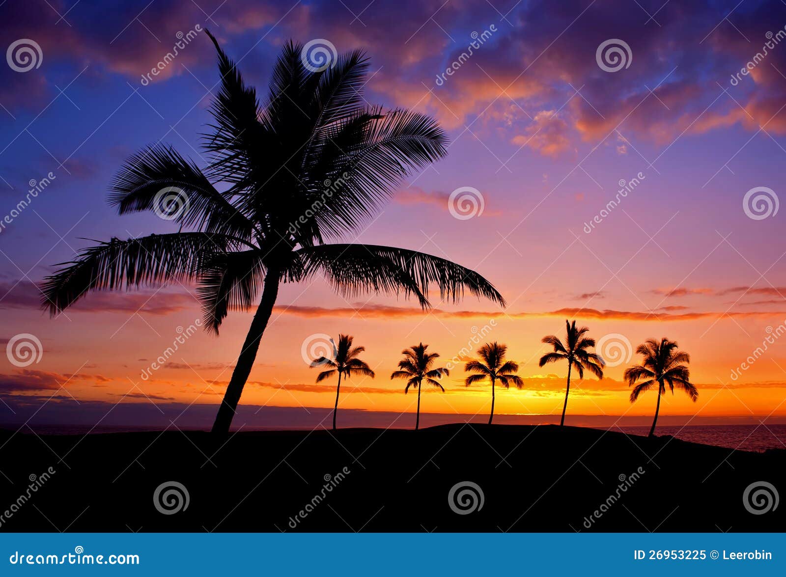 Silhouette Of A Hawaiian Hula Dancer At Sunset With Palm Trees On The ...