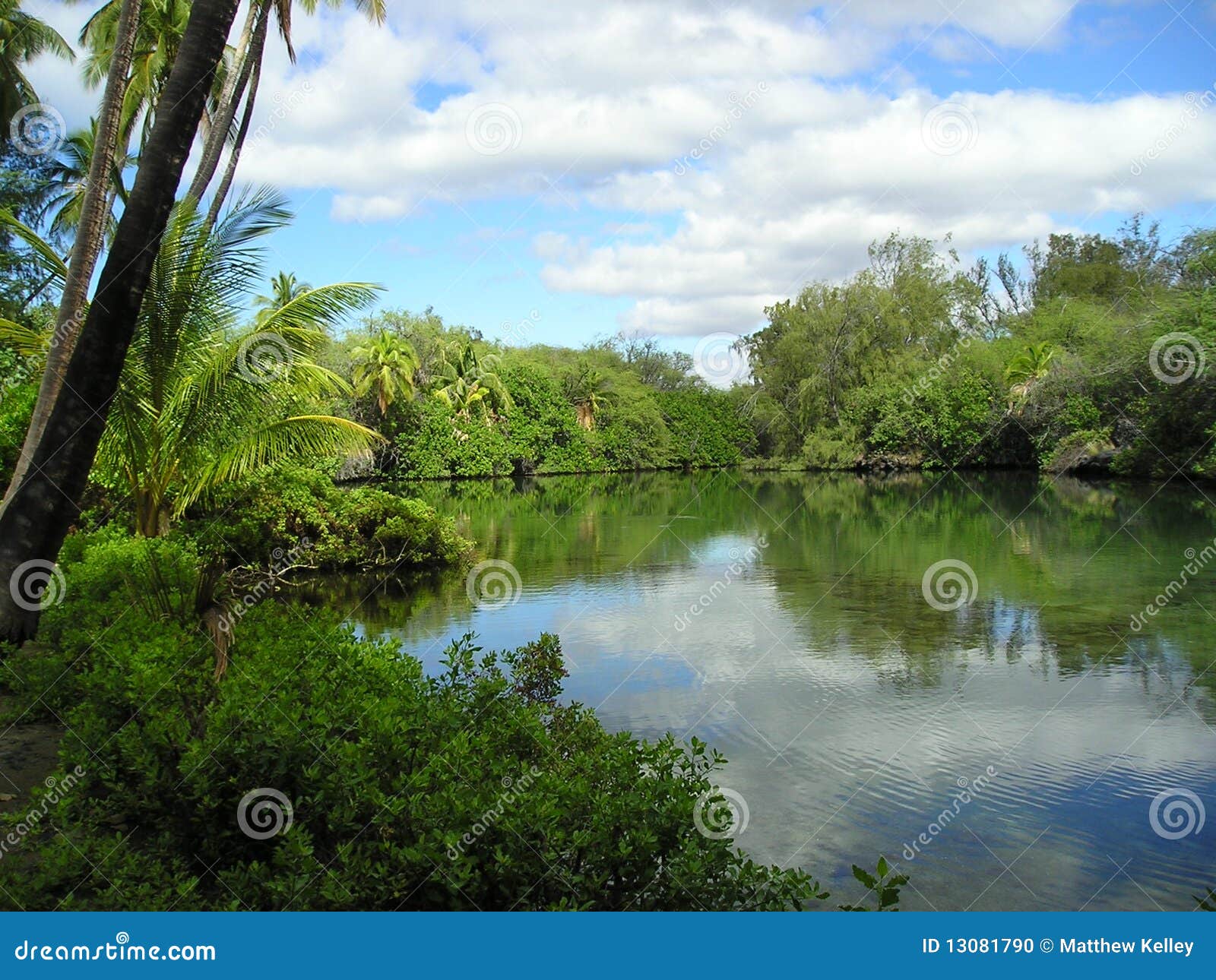 Hawaiian pond stock photo. Image of keholo, tropical - 13081790