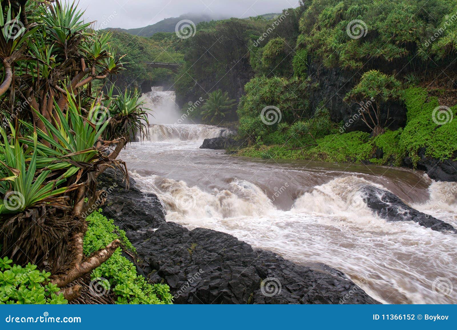 Hawaiian river stock photo. Image of tropic, lava, maui - 11366152