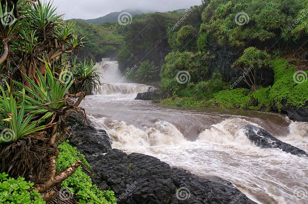 Hawaiian river stock photo. Image of tropic, lava, maui - 11366152