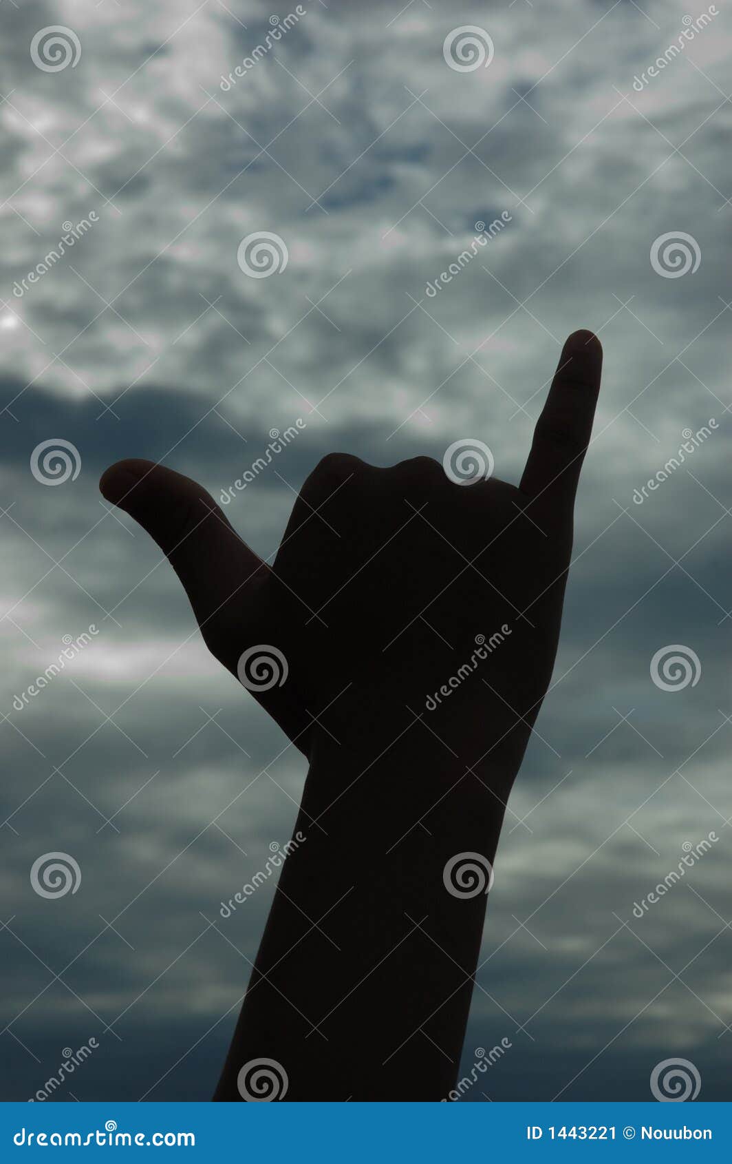 Hawaiian Shaka Sign