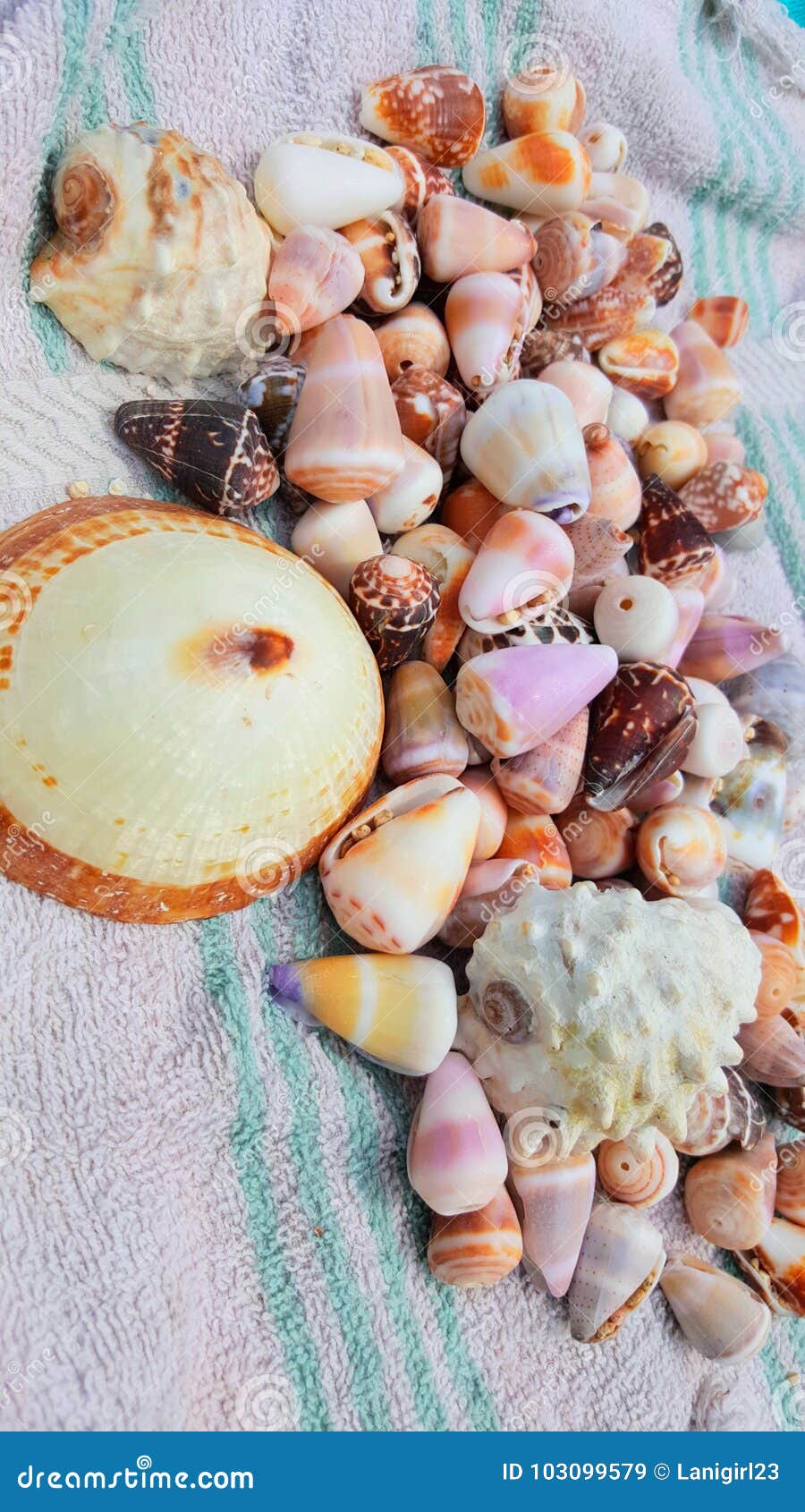 Hebrew Cone Stock Photos - Free & Royalty-Free Stock Photos from Dreamstime