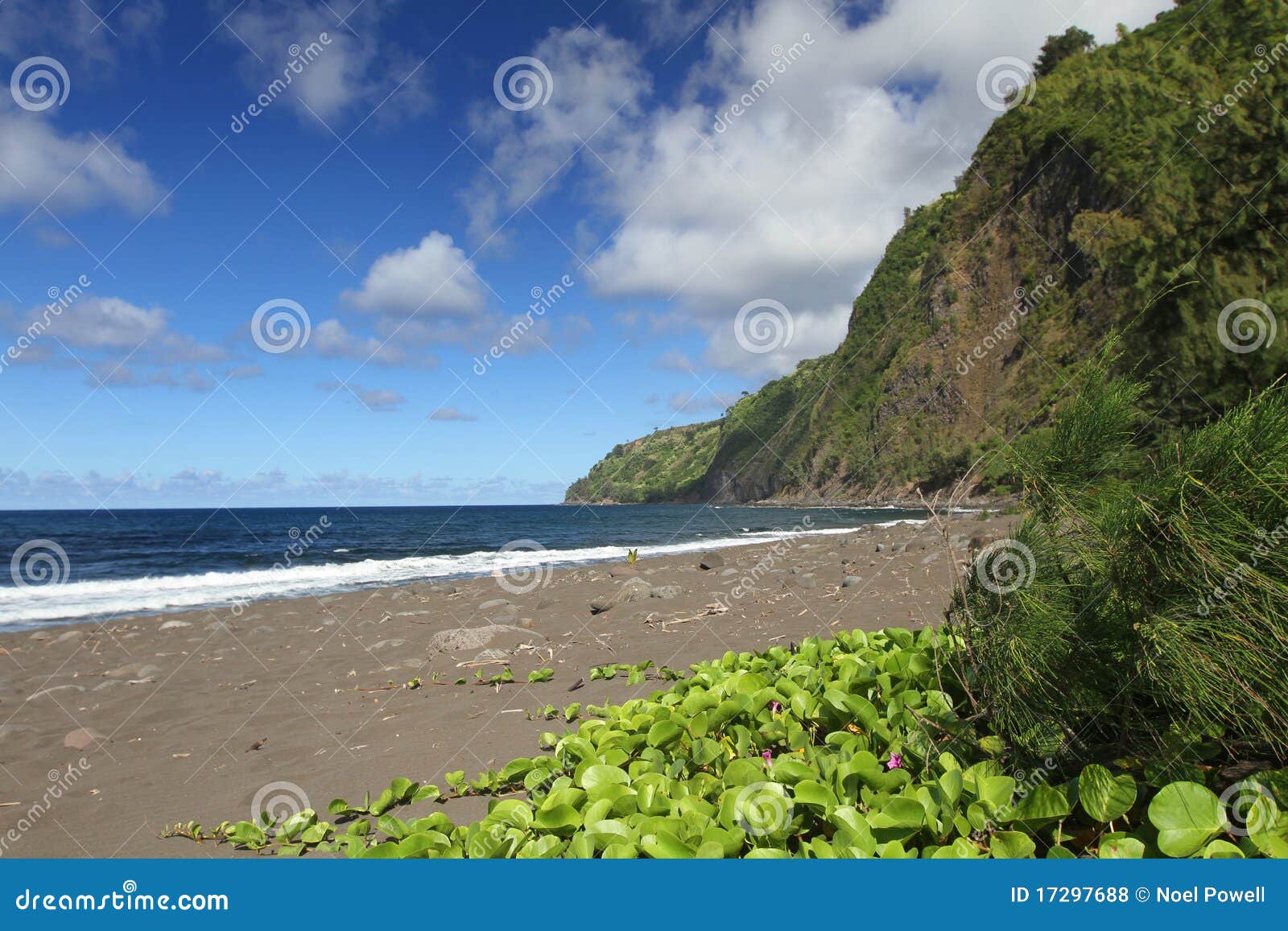 Hawaiian Shore stock photo. Image of ocean, hawaii, horizon - 17297688