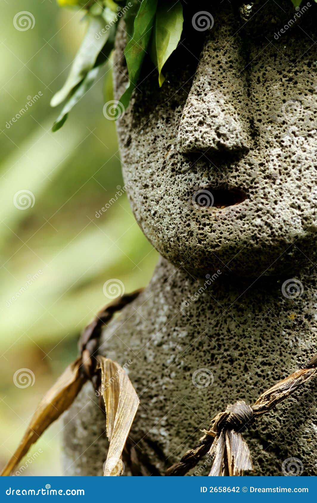 Hawaiian Statue. stock photo. Image of historical, hawaii - 2658642