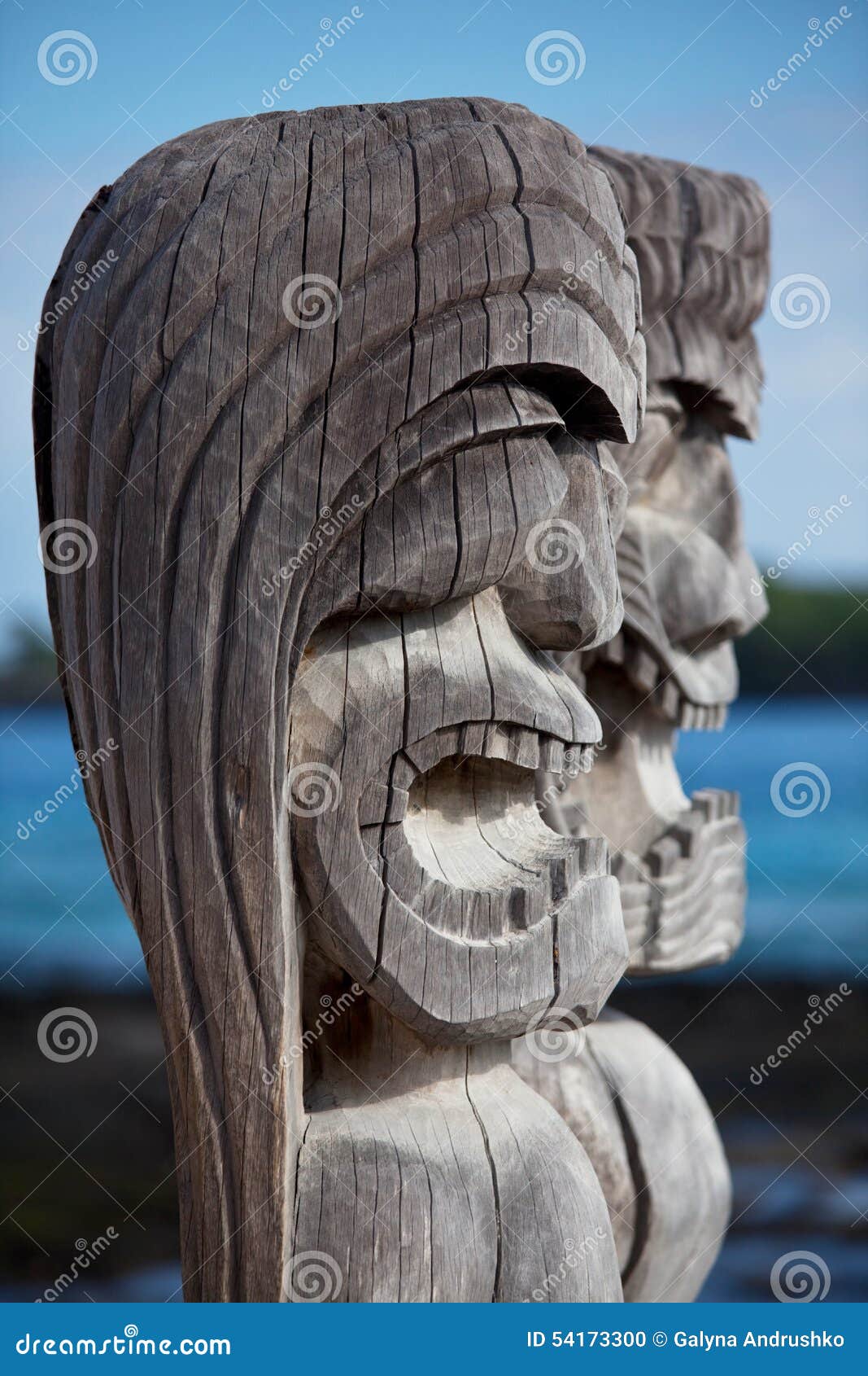 Hawaiian statue stock photo. Image of palm, native, aloha - 54173300