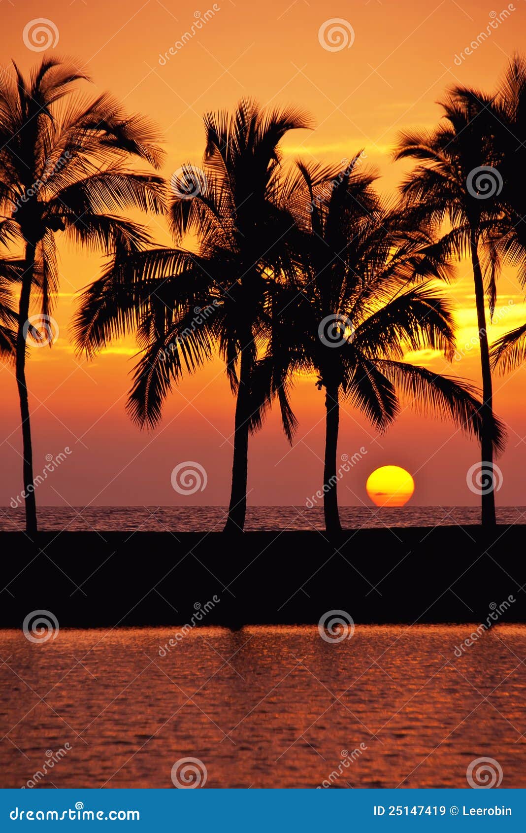 Hawaiian Sunset stock image. Image of color, silhouette - 25147419