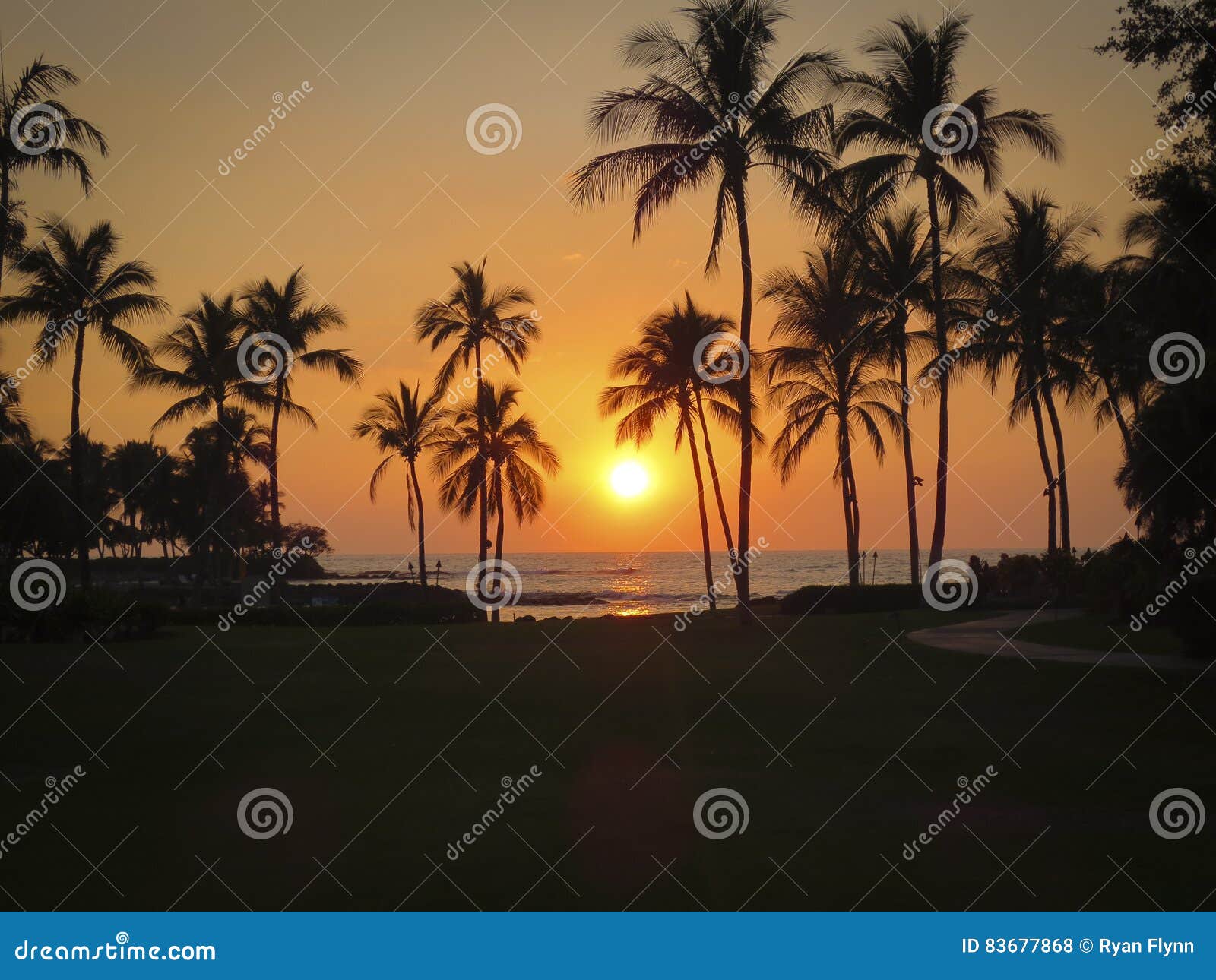 Hawaiian Sunset stock photo. Image of tiki, historical - 83677868