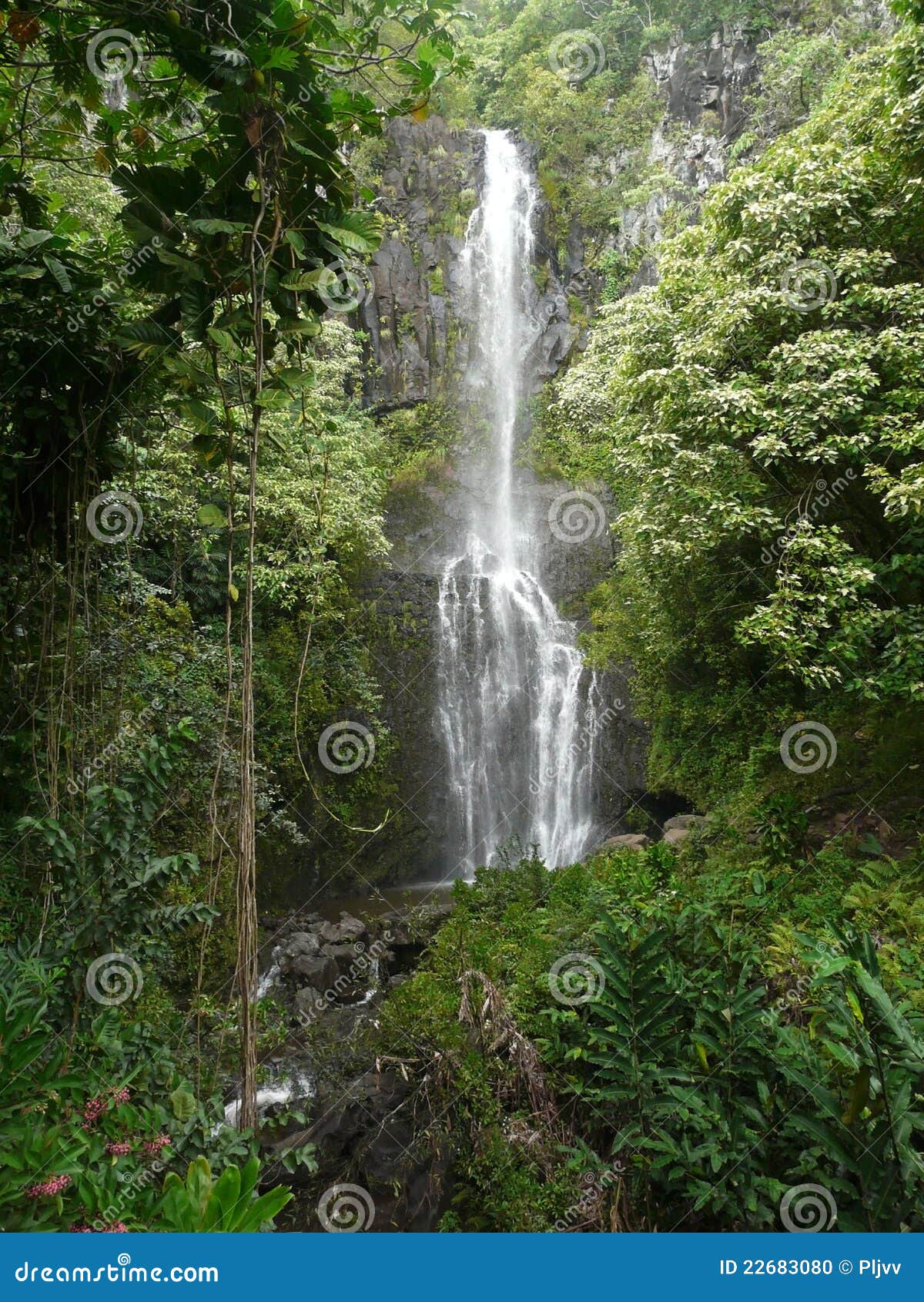 Hawaiian Tropical Waterfall Stock Photo - Image of hawaii, scenery ...
