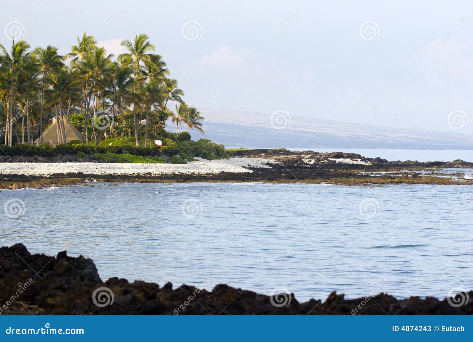 Hawaiian Volcanic Beach stock image. Image of blue, american - 4074243