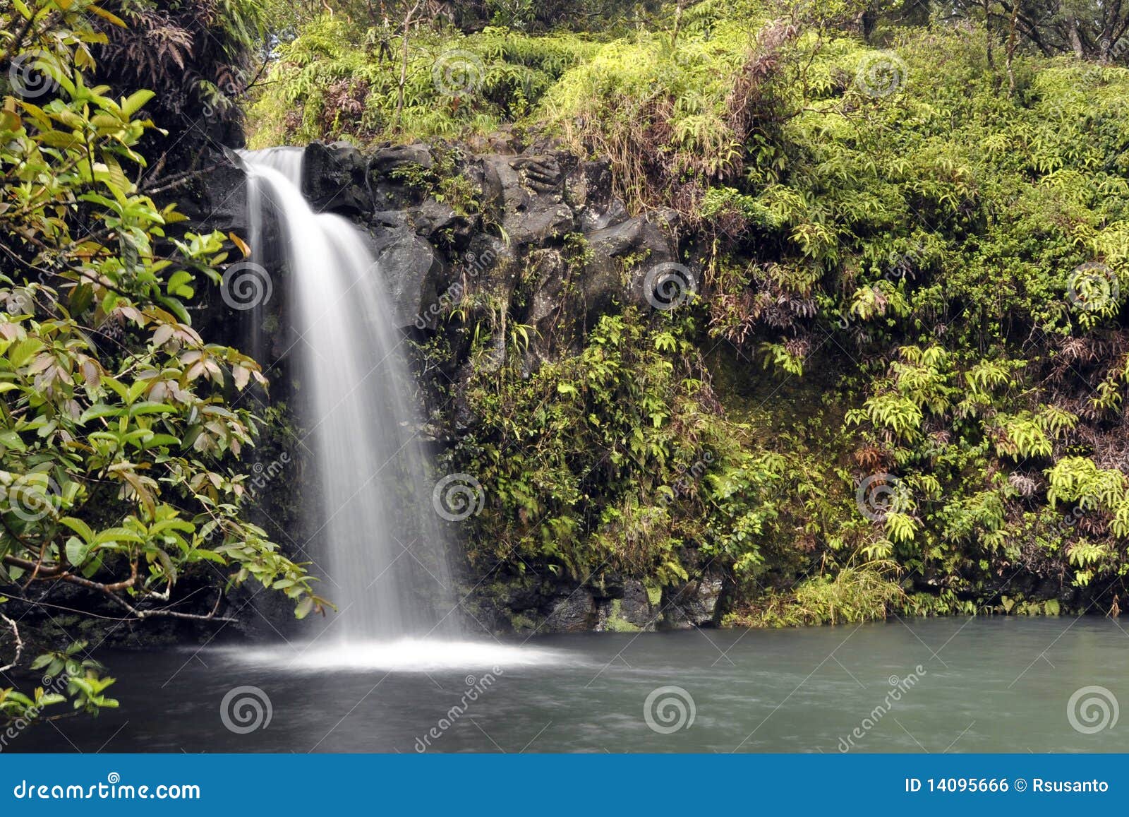 Hawaiian waterfall stock photo. Image of tropic, maui - 14095666