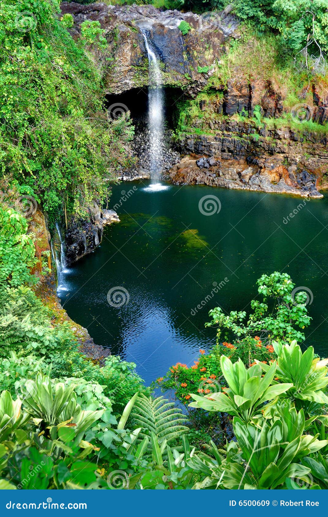 Hawaiian waterfall stock image. Image of foliage, waterfall - 6500609