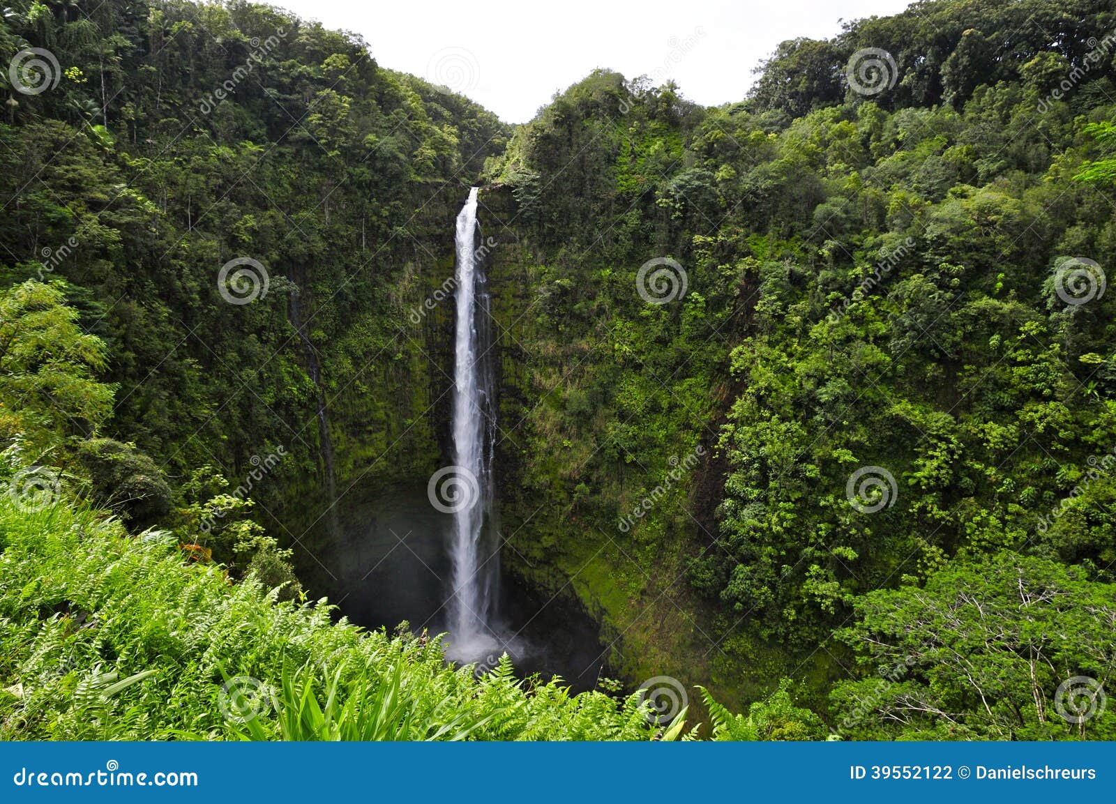 Hawaiian Waterfall stock photo. Image of water, state - 39552122