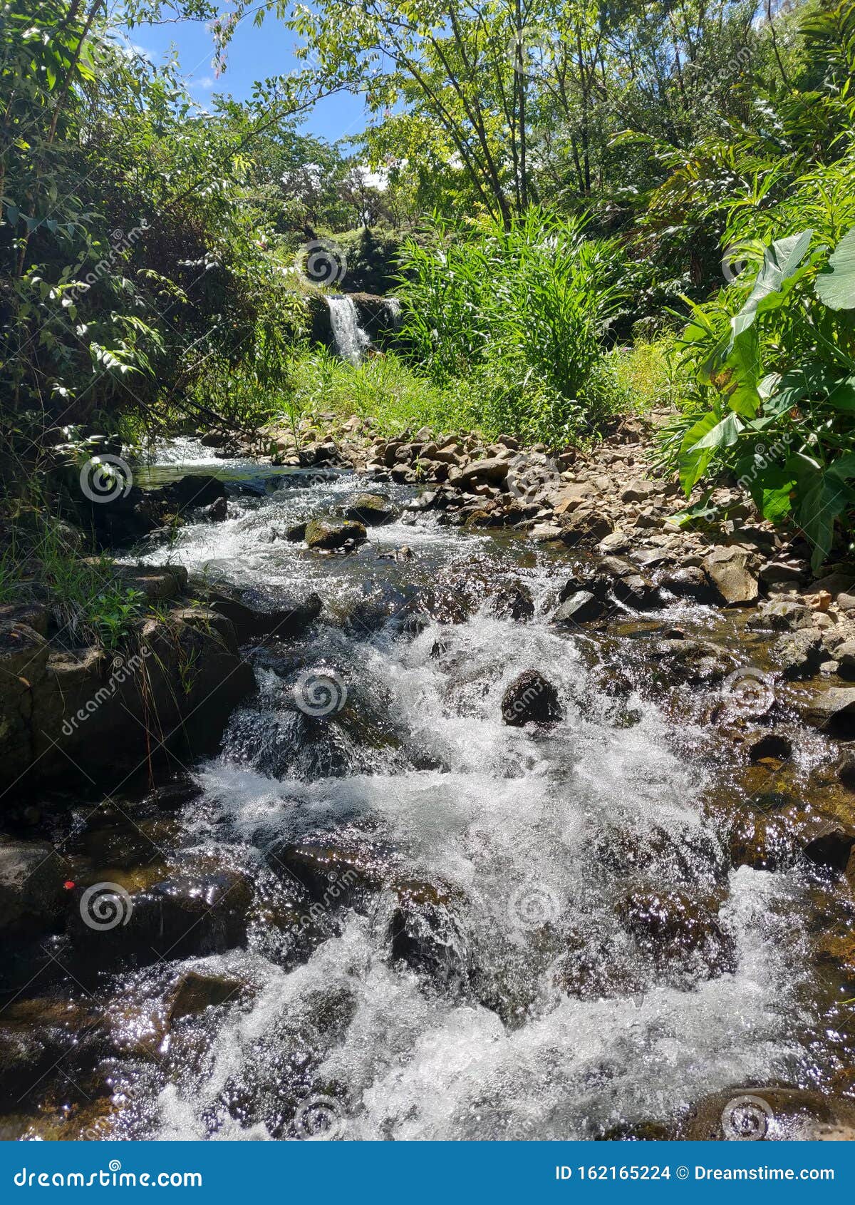 Hawaiian Waterfall Greenery Stock Photo - Image of greenery, water ...