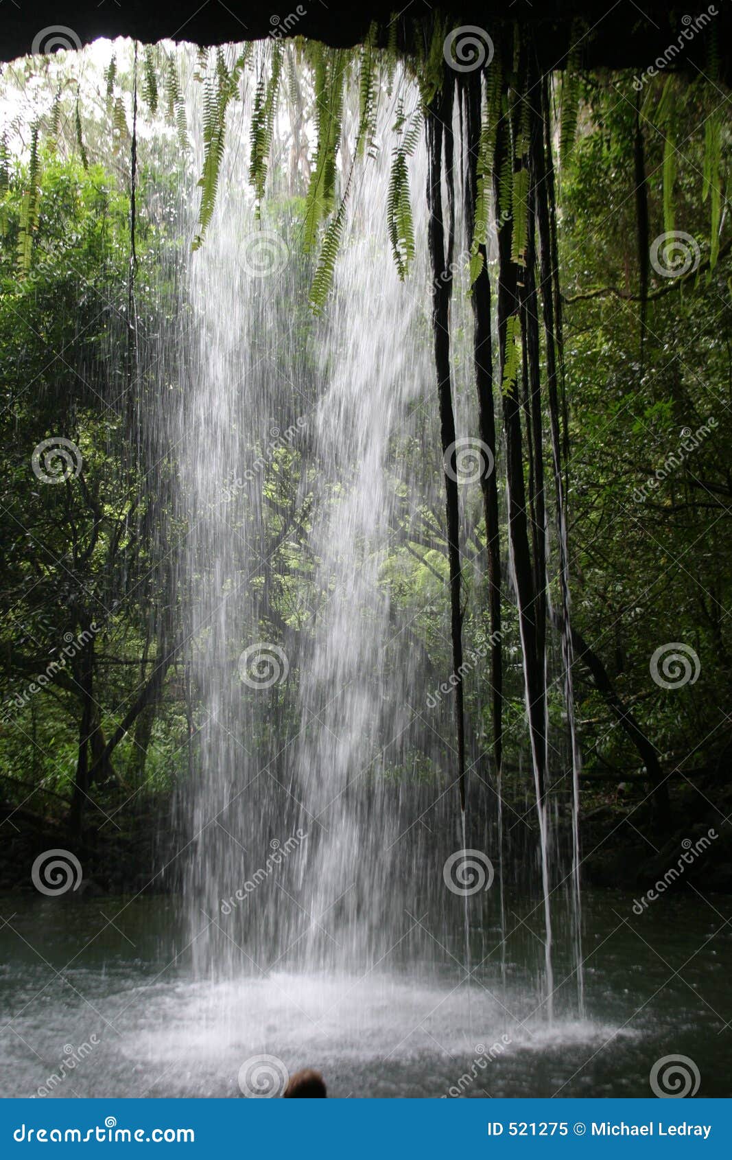 Hawaiian Waterfall from the Inside Lookikng Out Stock Image - Image of ...
