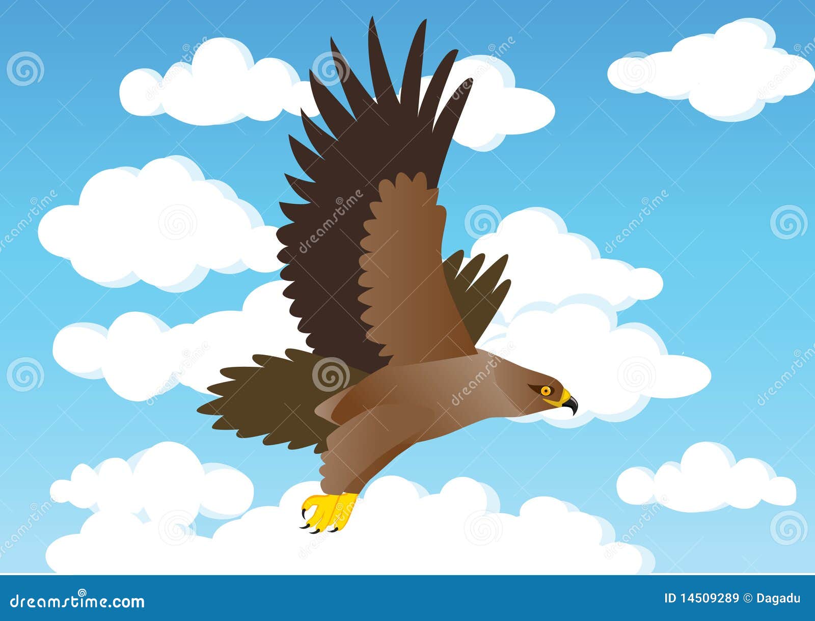 Hawk stock vector. Illustration of edge, majestic, portrait - 14509289