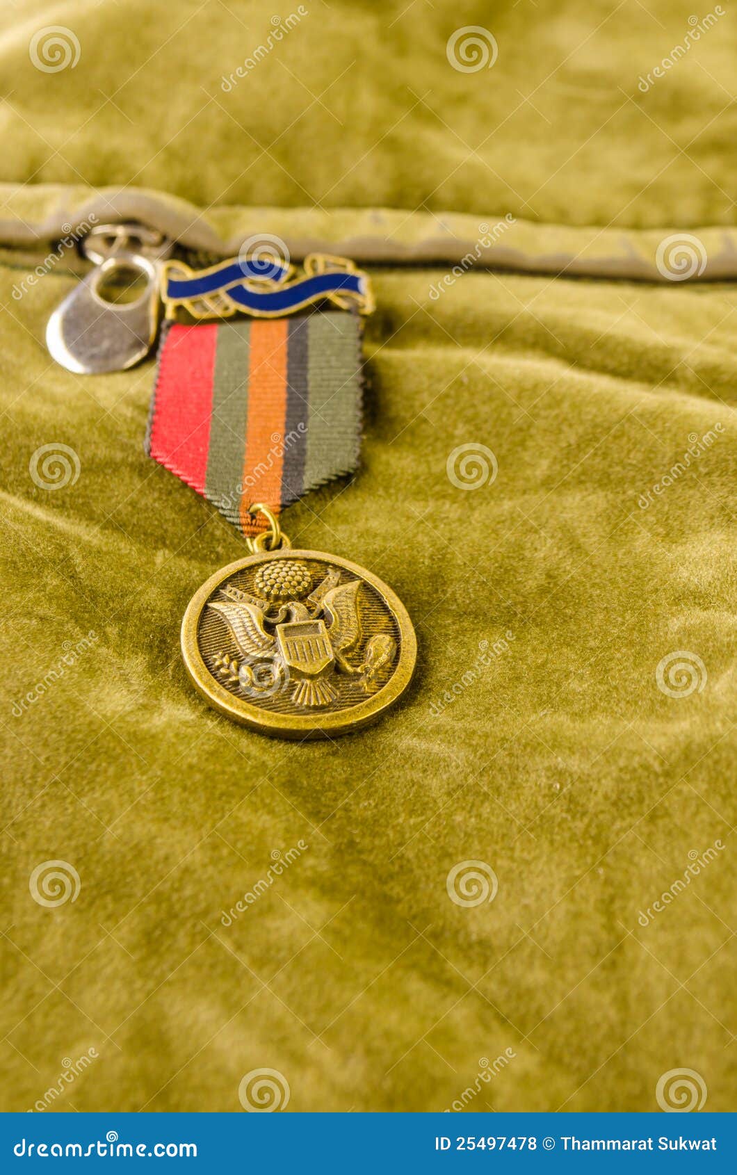 Hawk badge on green velvet stock photo. Image of close - 25497478