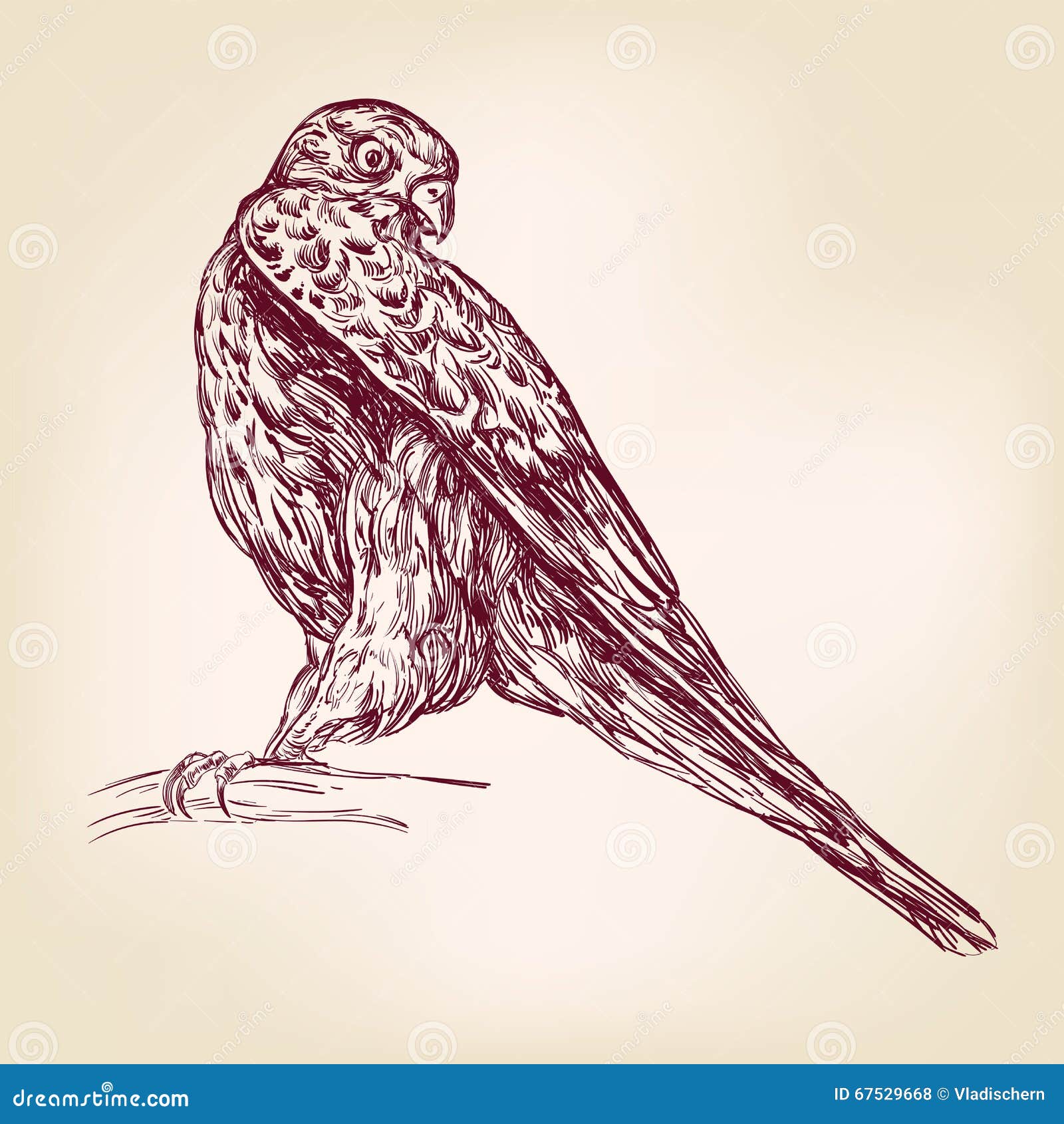 Hawk Bird And Samurai Katana Sword Black And White Vector Design Set ...