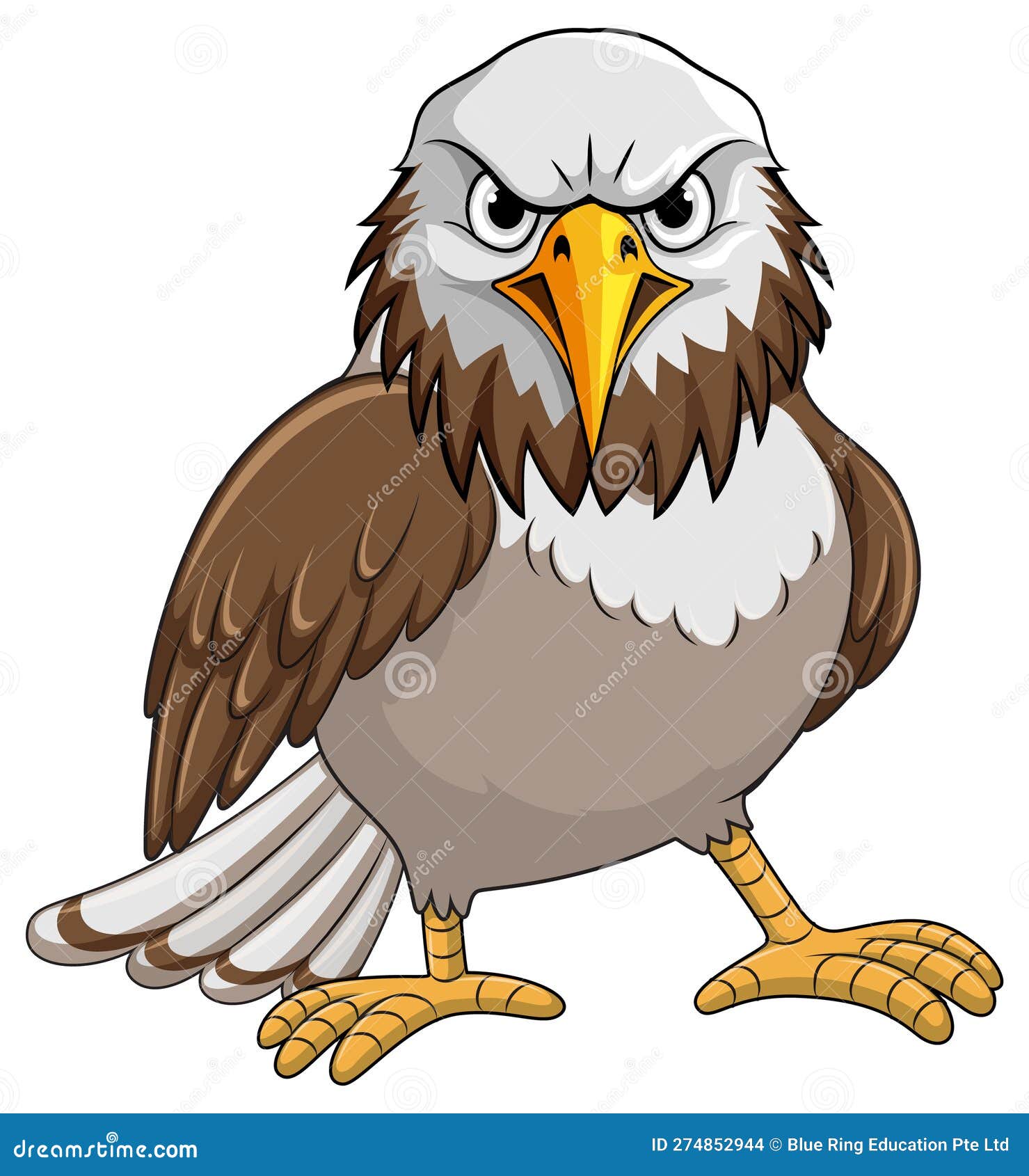 Hawk Cartoon Clipart. Hawk Vector Illustration In Flat Style. Hand ...