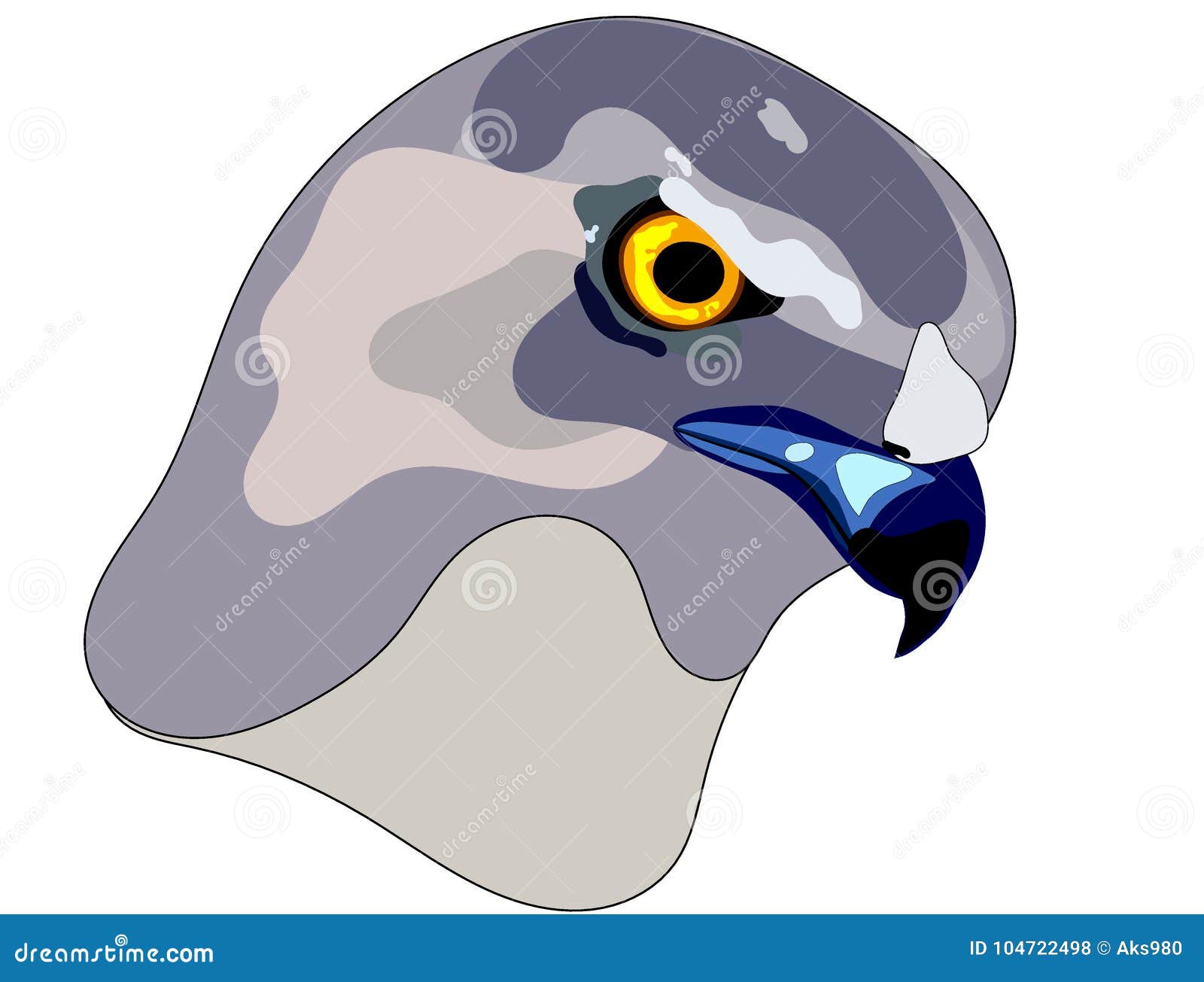 Hawk Face Sharp Side View Coloured Vector Illustration Stock Vector ...
