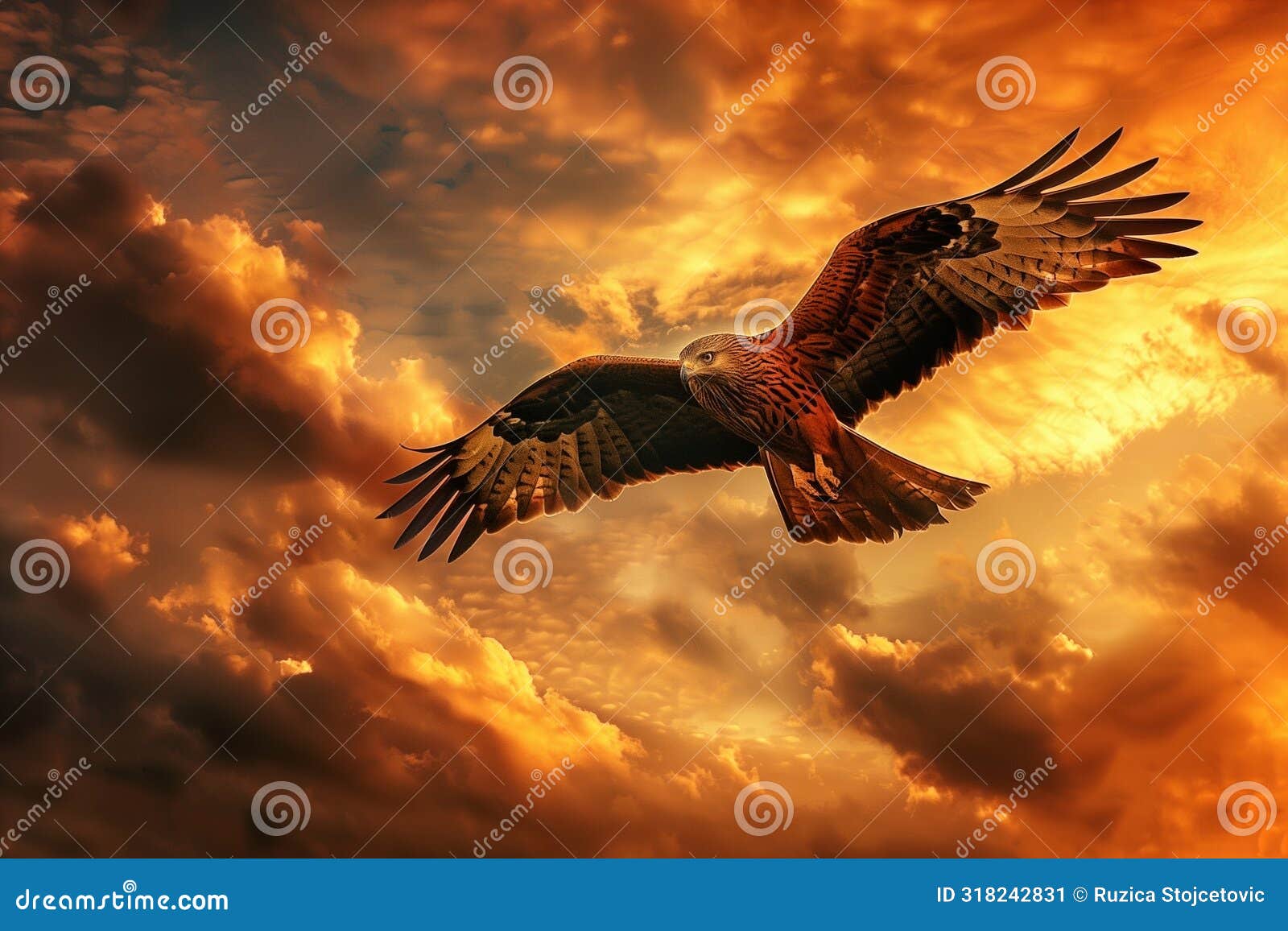 A Hawk Flying in the Orange Sunset Sky Ai Photo Stock Illustration ...
