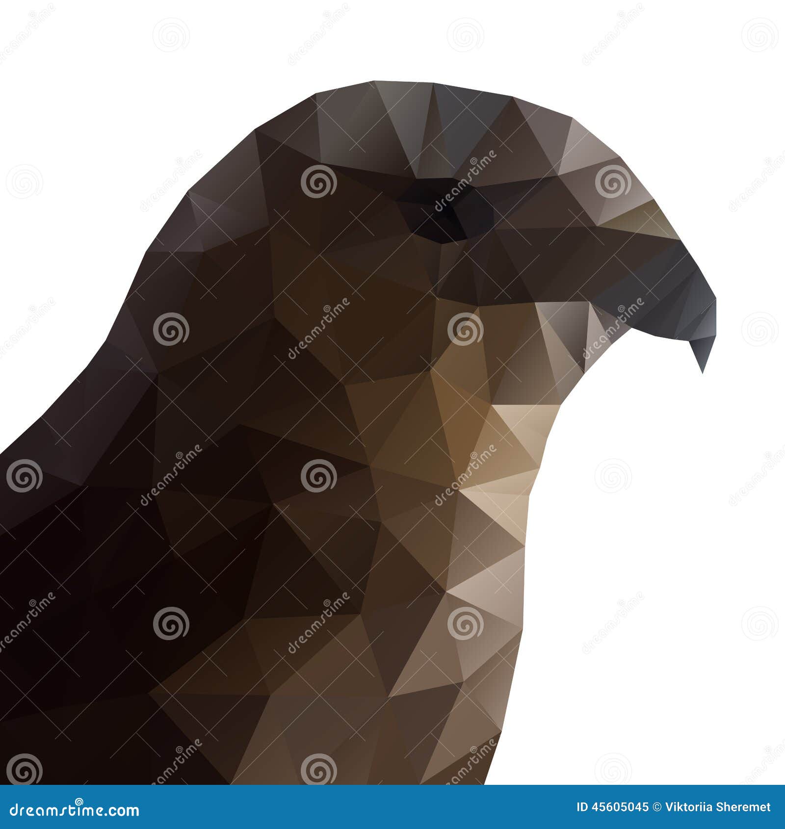 Hawk Head Vector Illustration Illustration de Vecteur - Illustration du ...