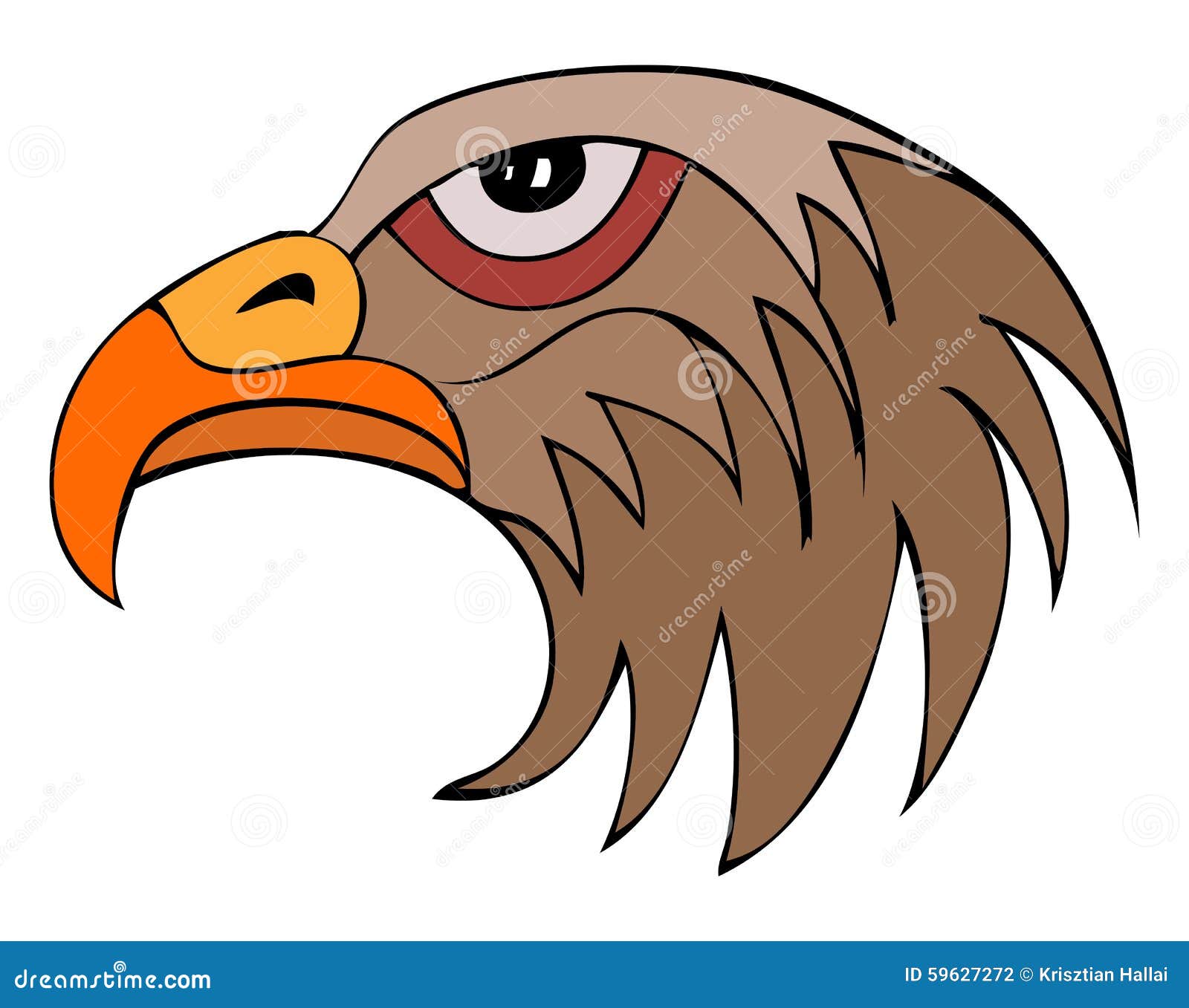 Hawk Head on White Background. Stock Vector - Illustration of angry ...