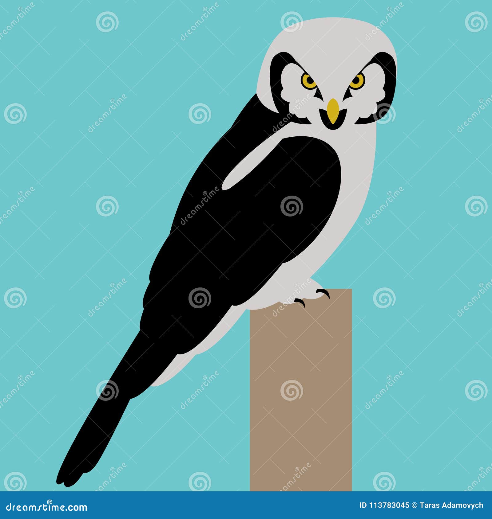 Hawk Owl Bird Face Vector Illustration Flat Style Profile Stock Vector ...