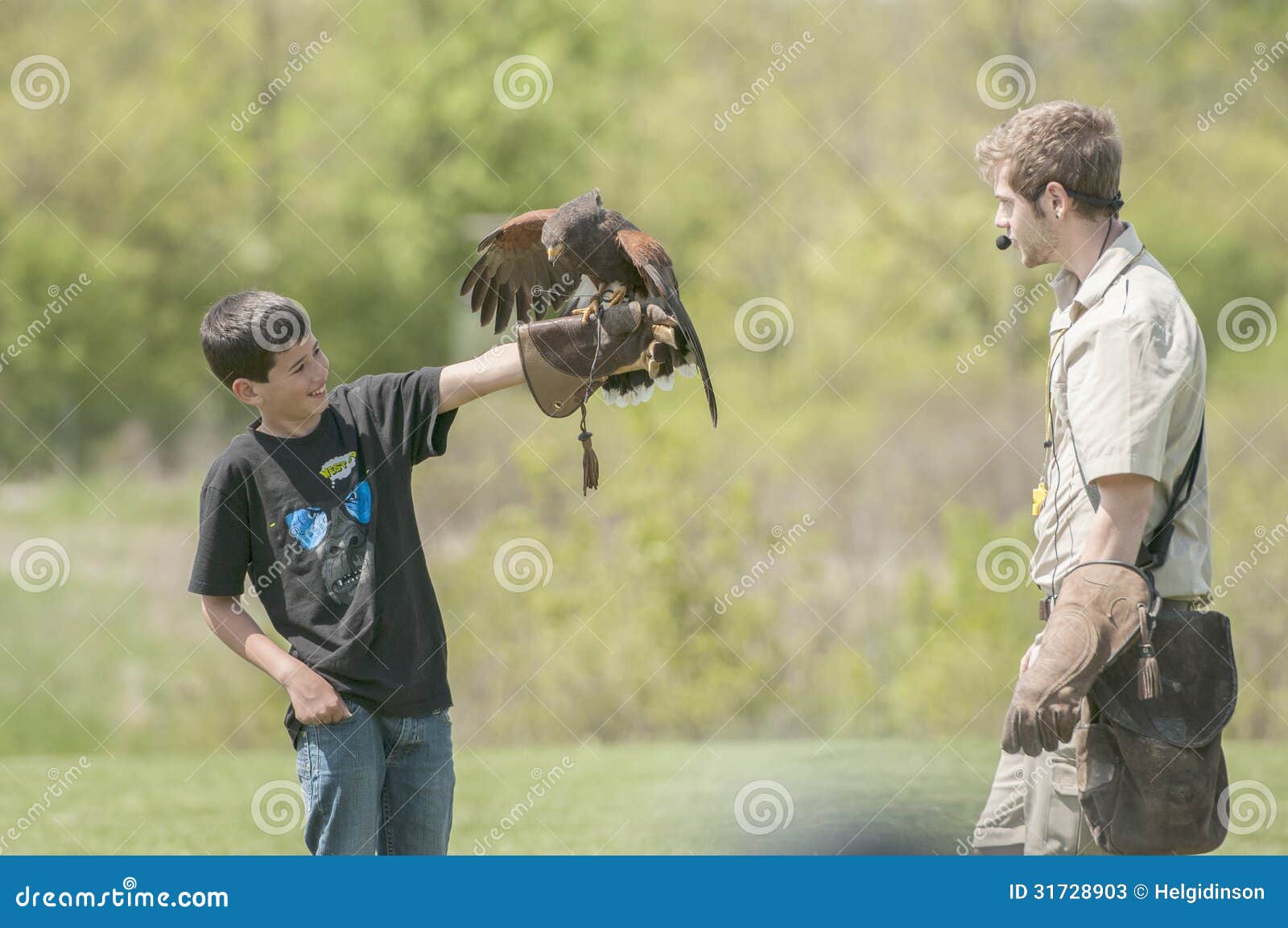 Hawk and trainer editorial stock photo. Image of falconry - 31728903
