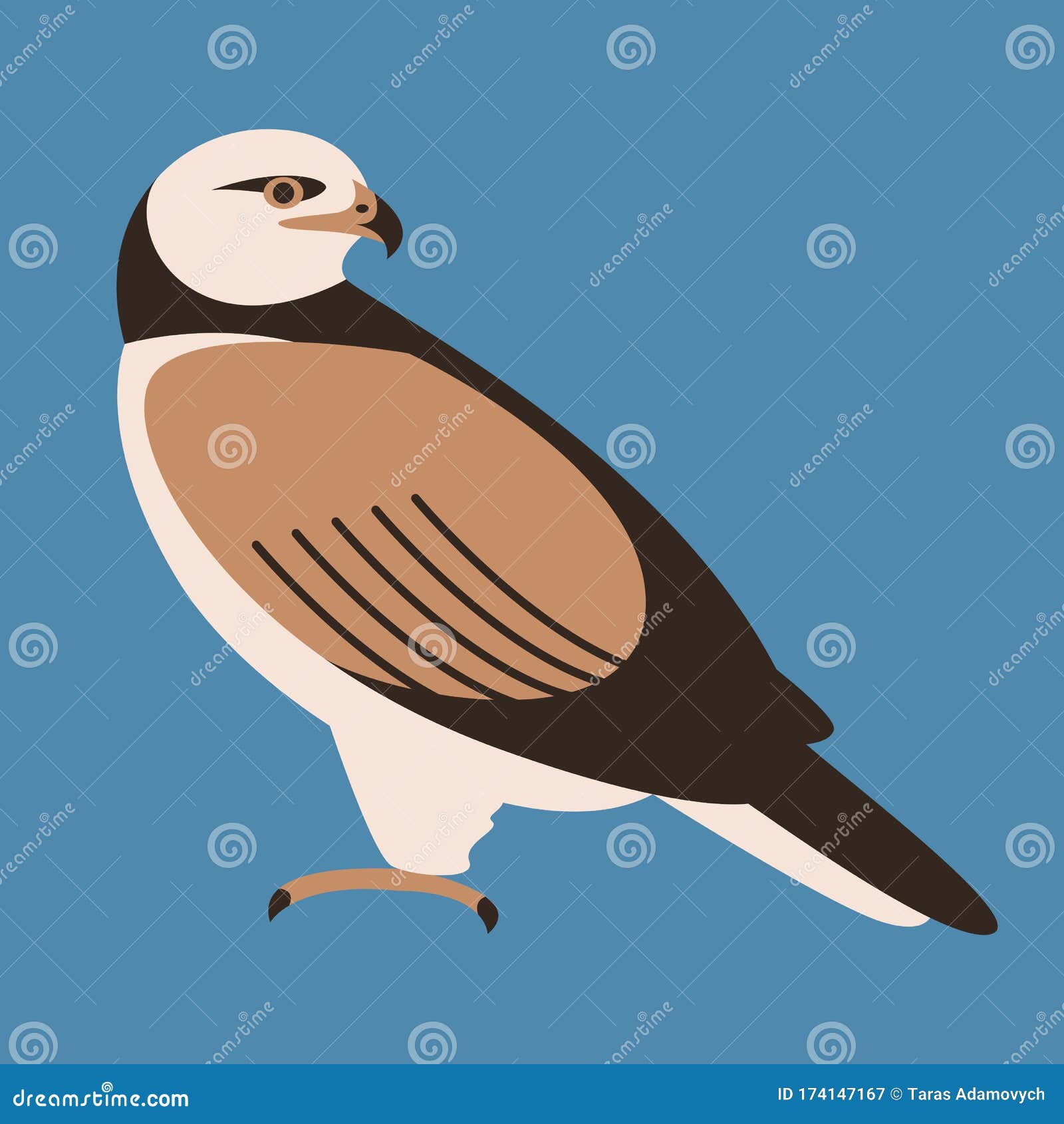 Hawk , Vector Illustration,flat Style, Profile Side Stock Vector ...