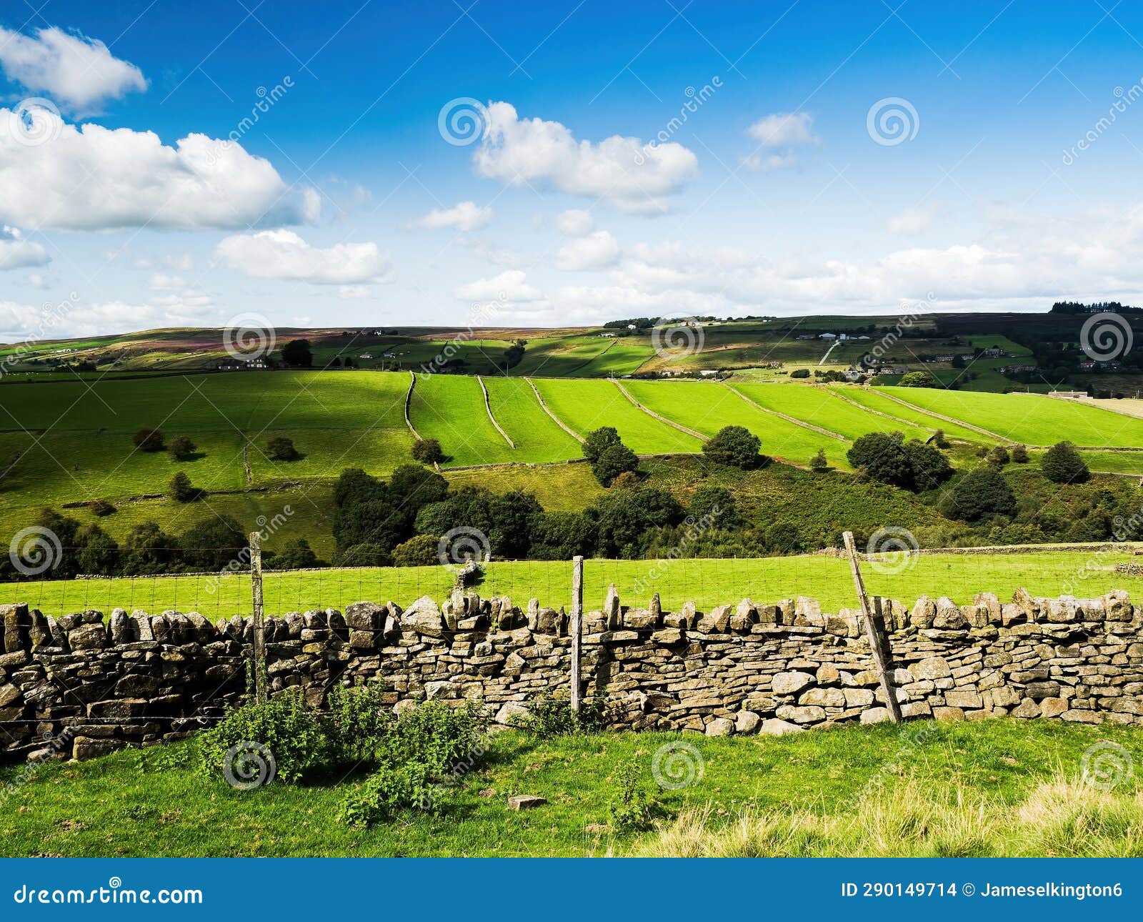 Haworth Moor landscape stock photo. Image of landscape - 290149714