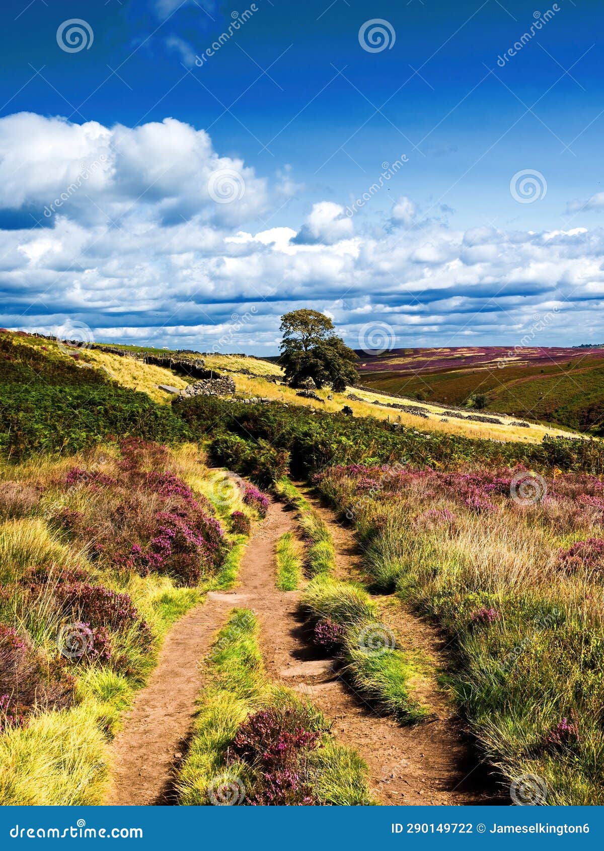 Haworth Moor Landscape with Path Stock Photo - Image of tranquil ...