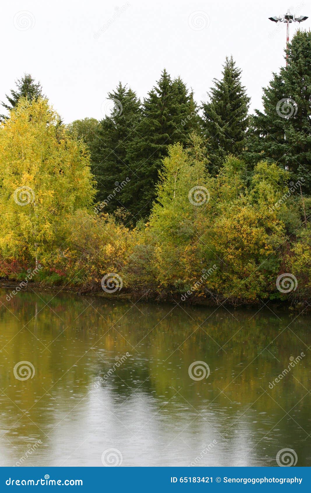 Hawrelak Park Edmonton stock image. Image of alberta - 65183421