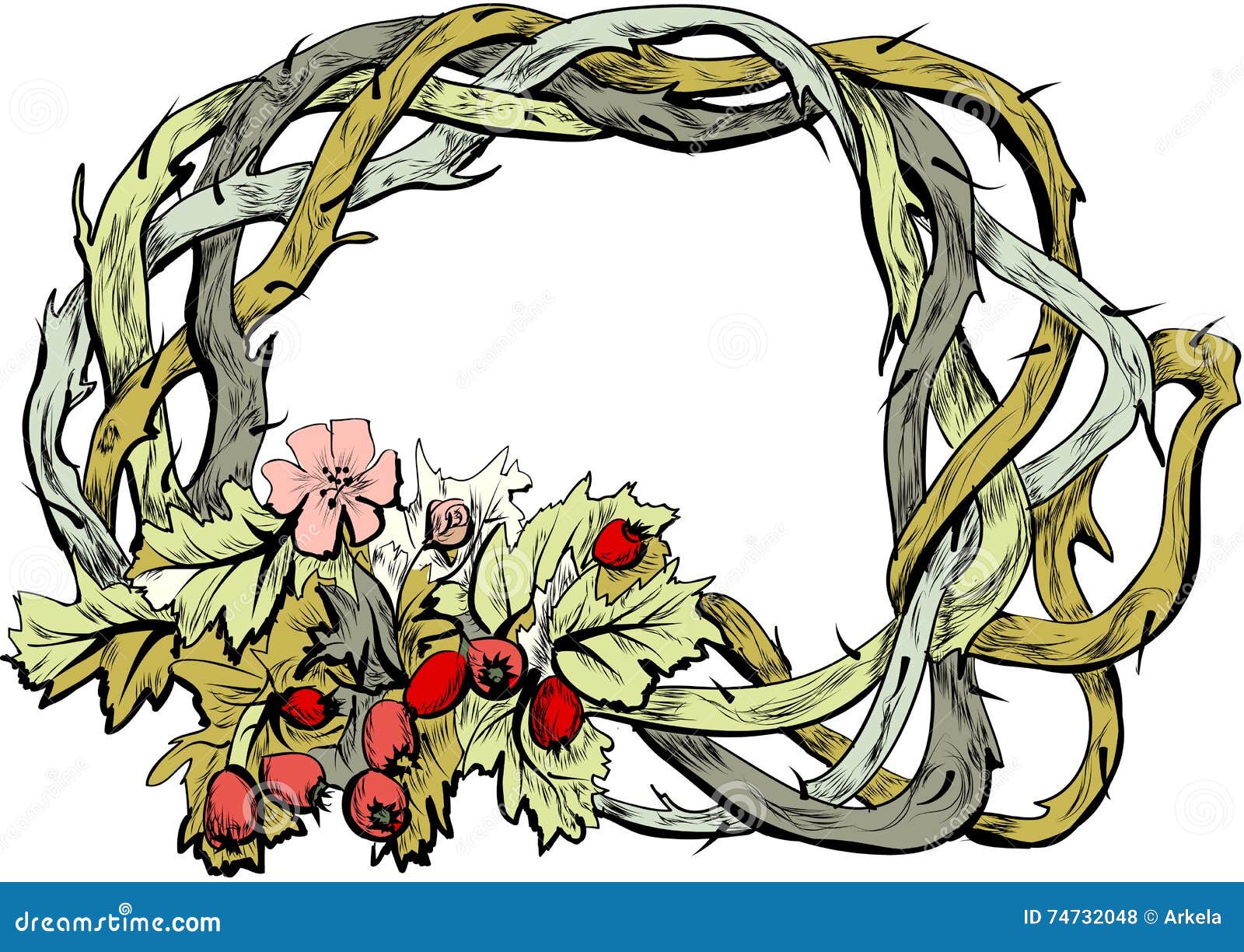 Hawthorn stock vector. Illustration of macro, flower - 74732048