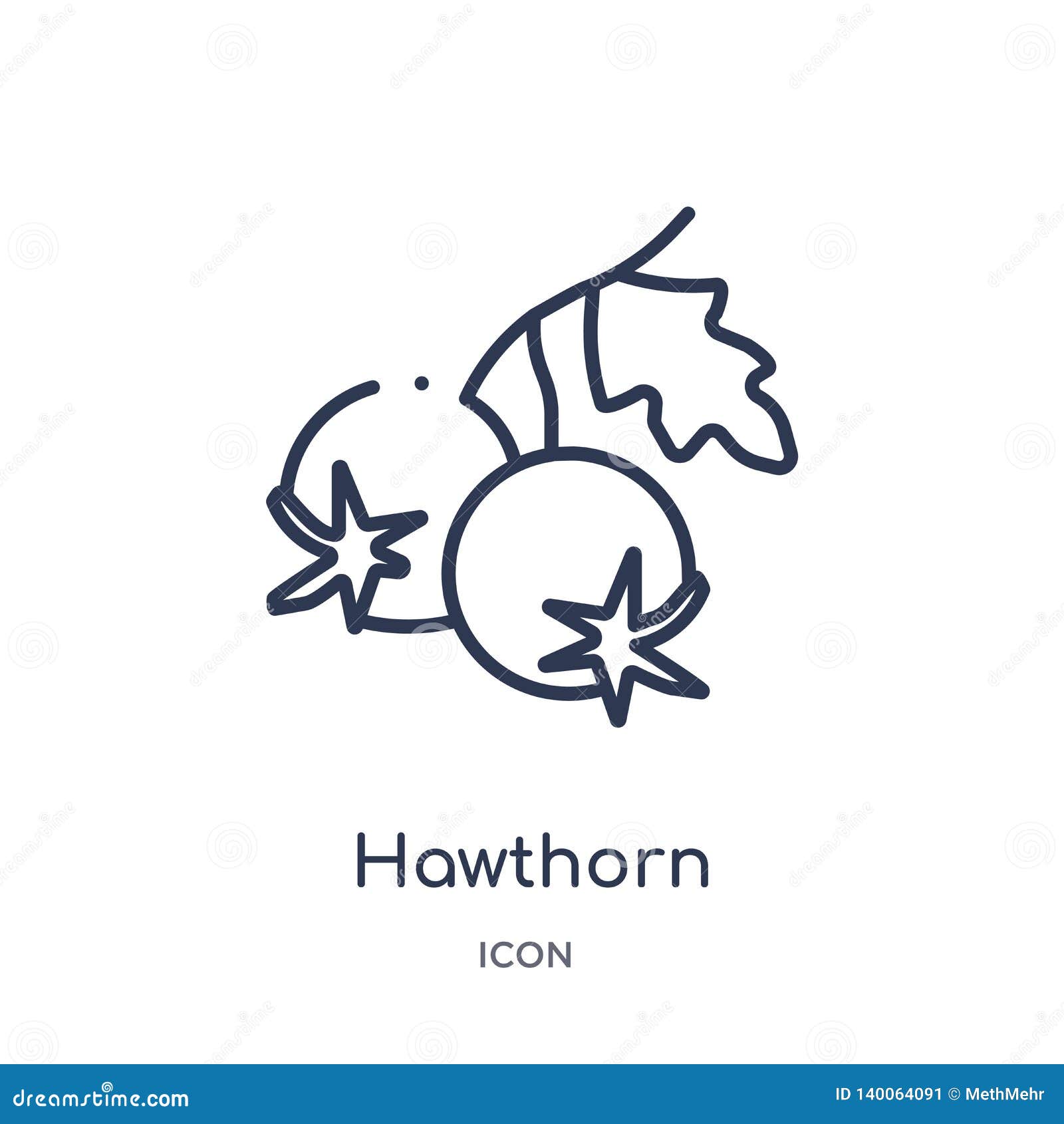 Hawthorn Icon. Trendy Hawthorn Logo Concept On White Background Cartoon ...