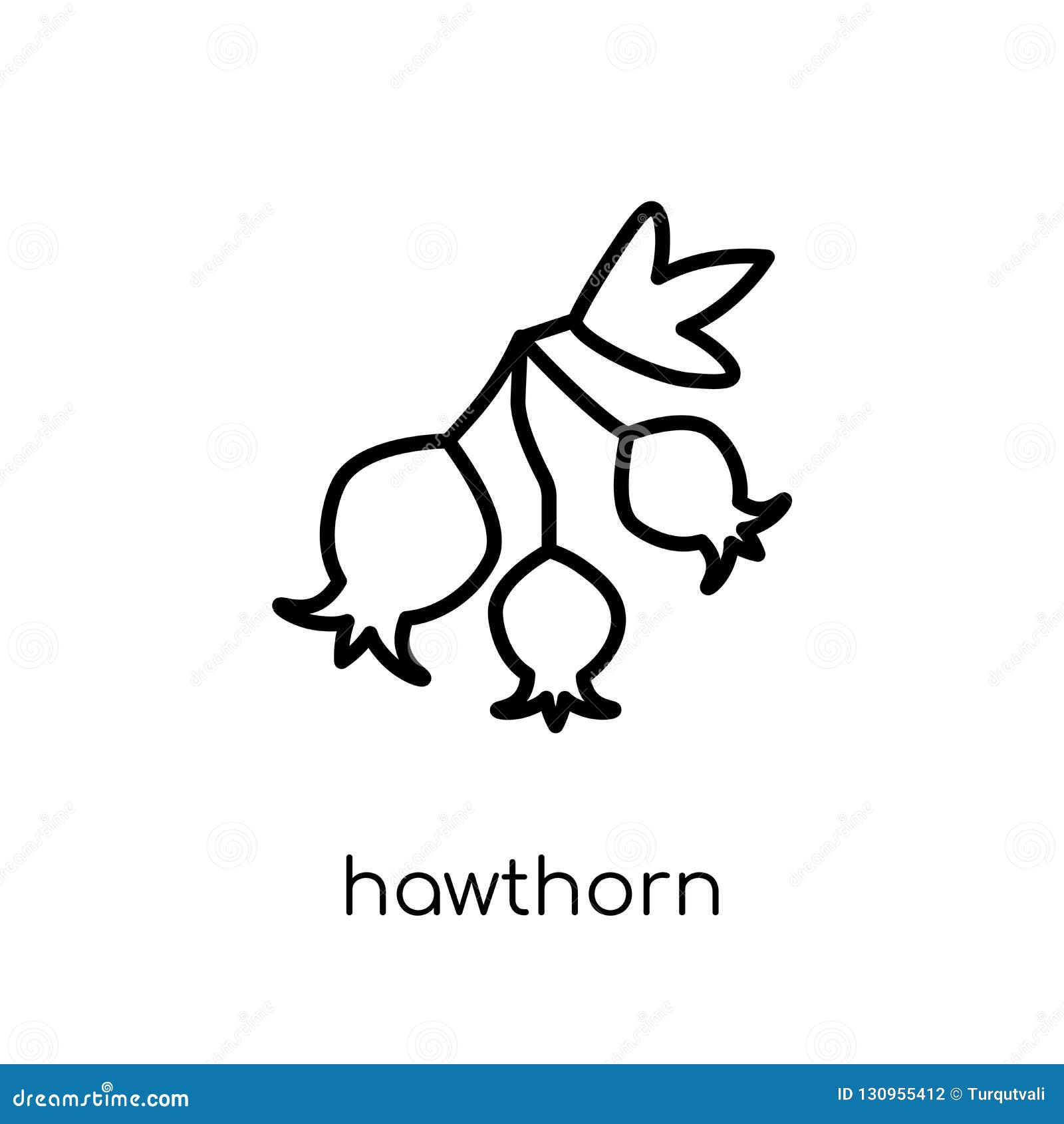 Hawthorn Icon. Trendy Hawthorn Logo Concept On White Background Cartoon ...
