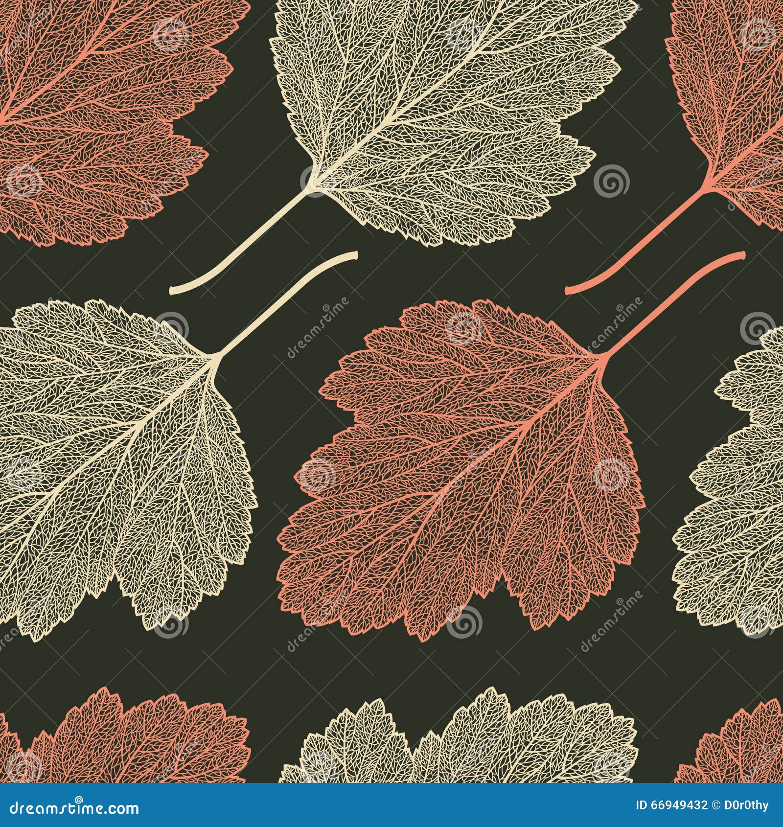 Hawthorn Leaf Skeleton Pattern Stock Vector - Illustration of autumn ...