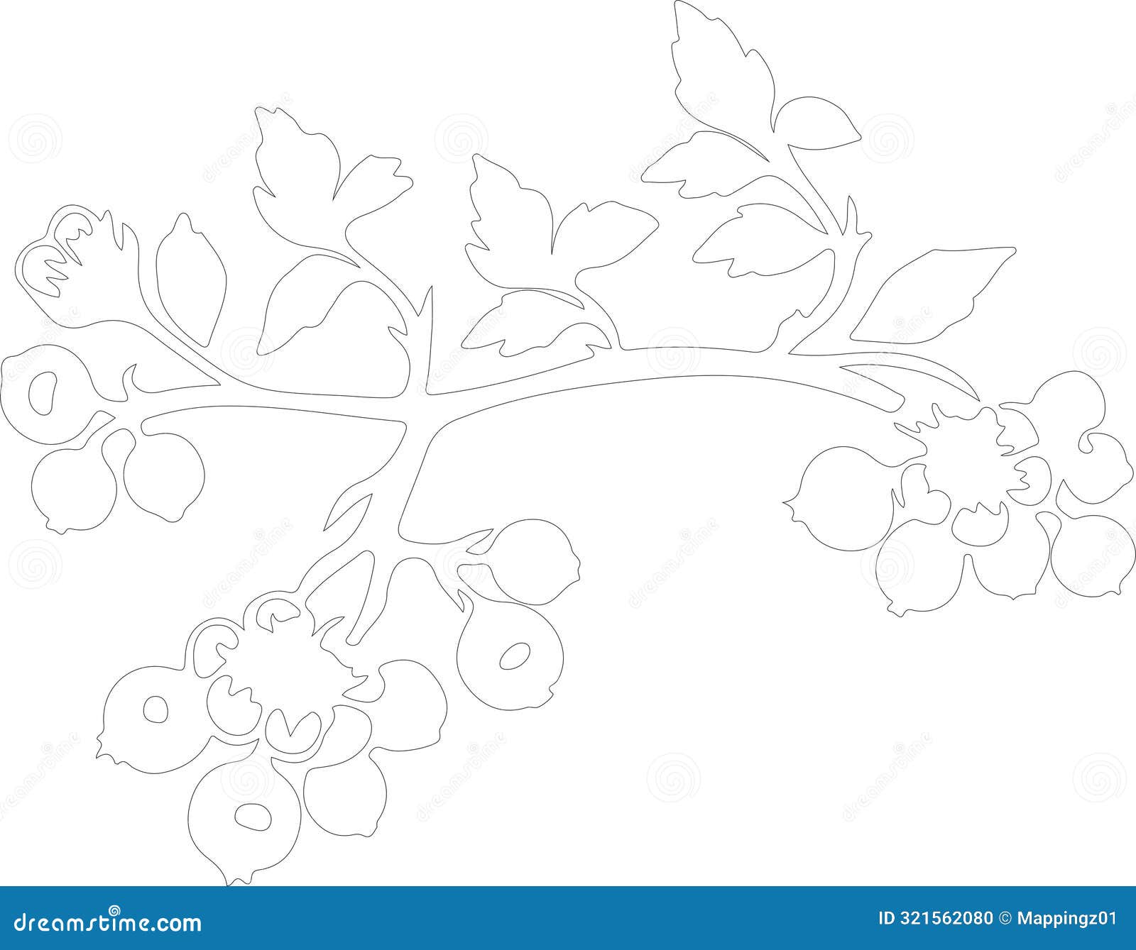 Hawthorn Outline Silhouette Generative Ai Cartoon Vector ...