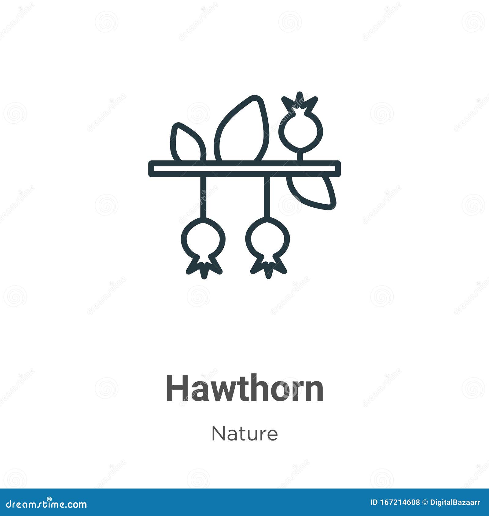 Hawthorn Outline Silhouette Generative Ai Cartoon Vector ...