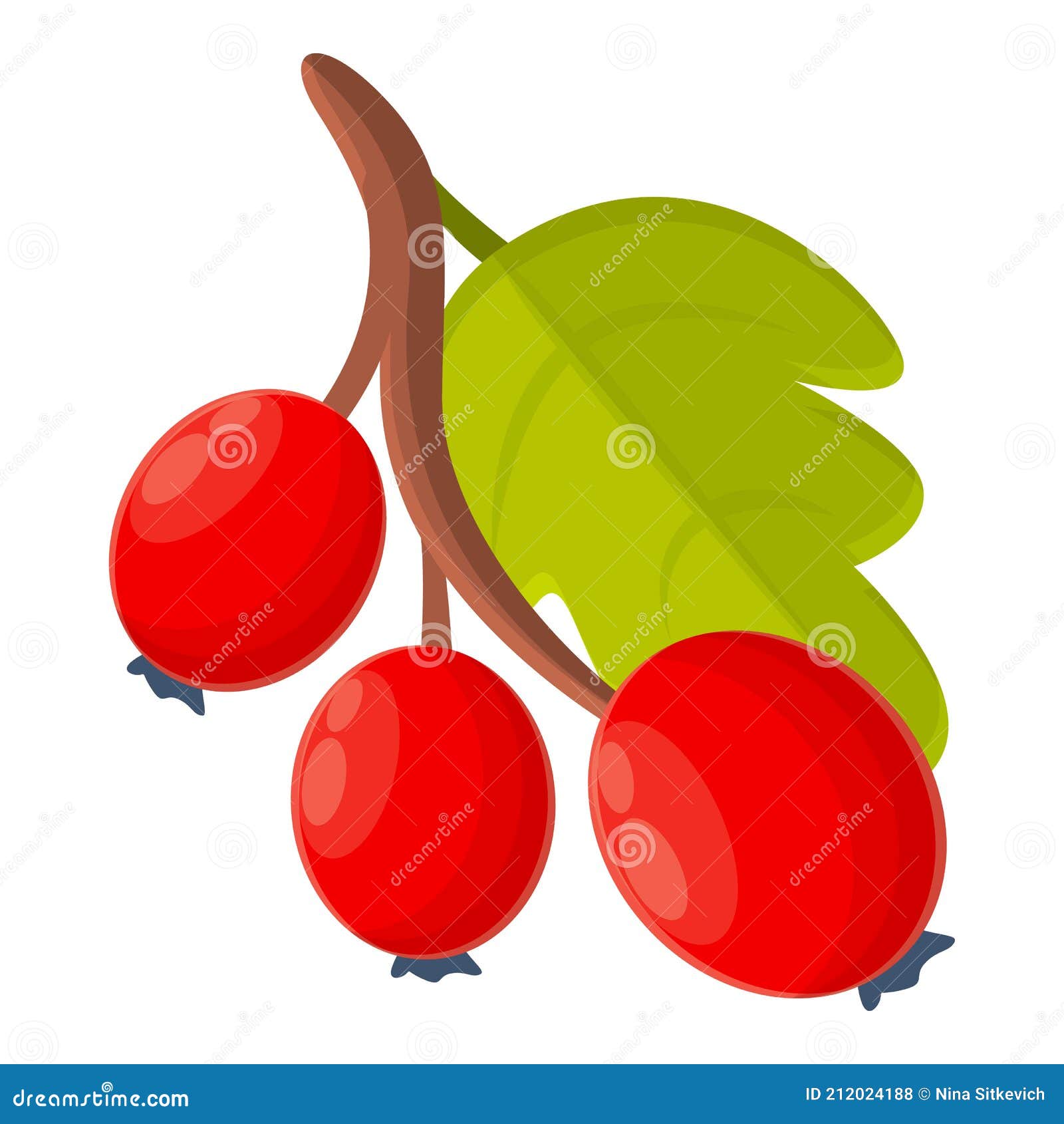 Hawthorn Plant Icon, Cartoon Style Stock Vector - Illustration of ...