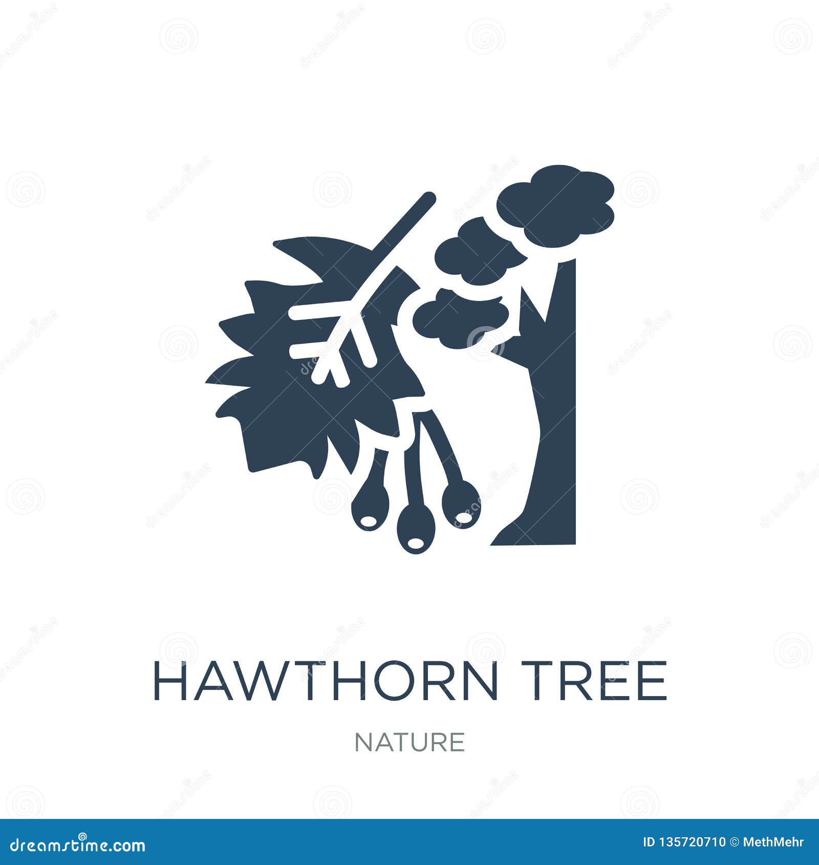 Hawthorn Tree Icon in Trendy Design Style. Hawthorn Tree Icon Isolated ...