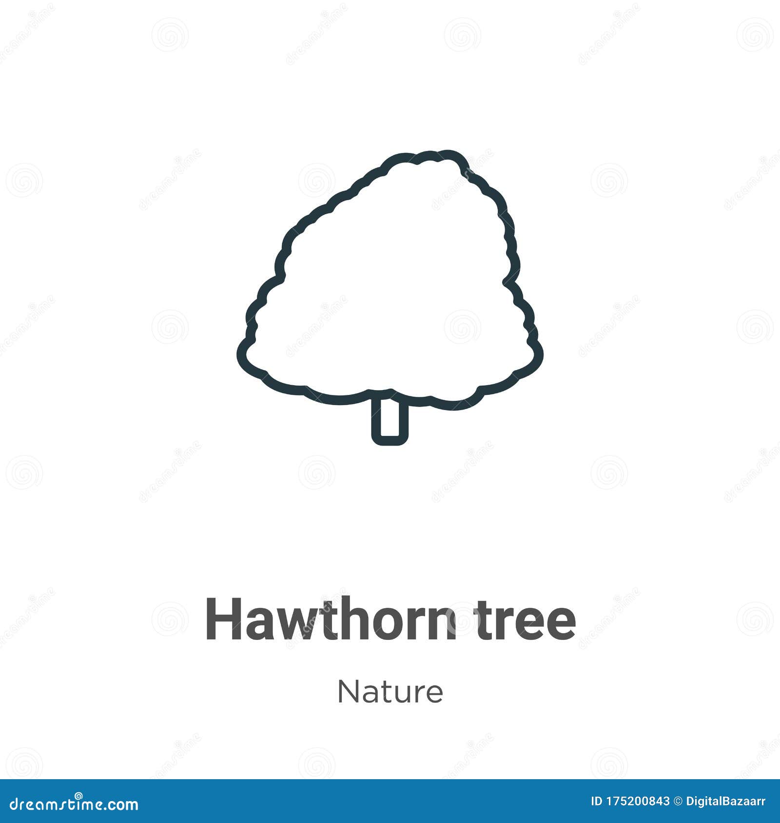 Hawthorn Tree Outline Vector Icon. Thin Line Black Hawthorn Tree Icon ...