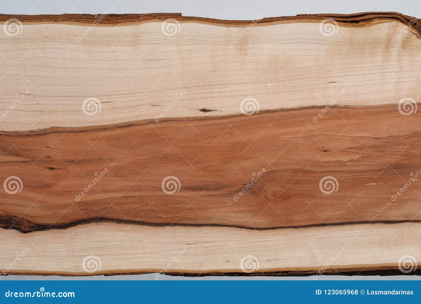 Hawthorn wood texture stock photo. Image of lumber, timber - 123065968