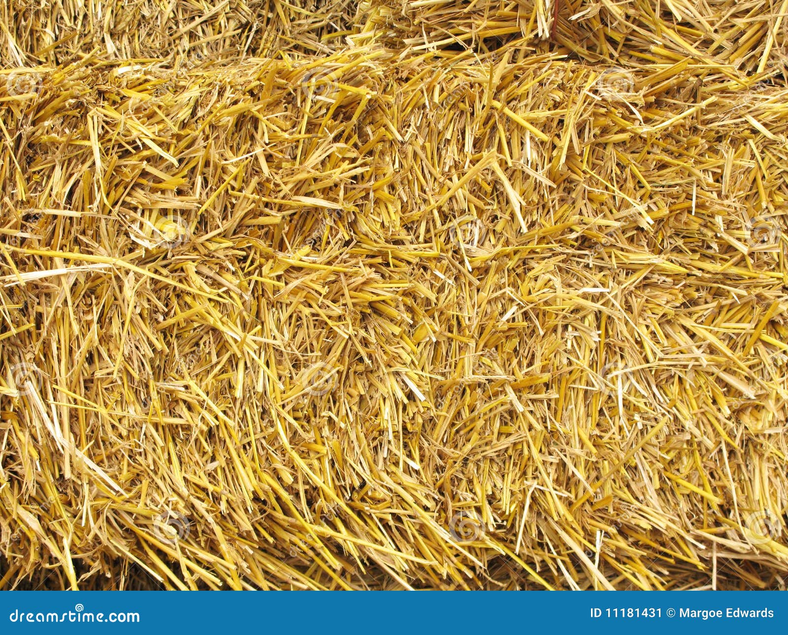 Hay stock image. Image of background, yellow, pattern - 11181431